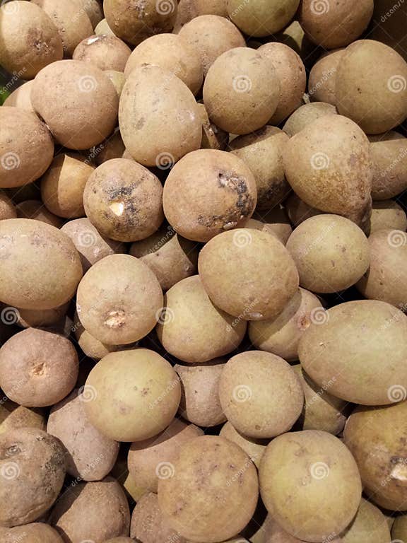 Chico stock image. Image of natural, philippines, mangosteen - 85038973