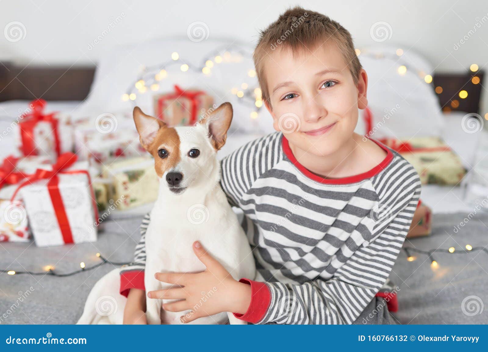 Chico Jugando Con El Gato Russell Foto de archivo - Imagen de perro ...