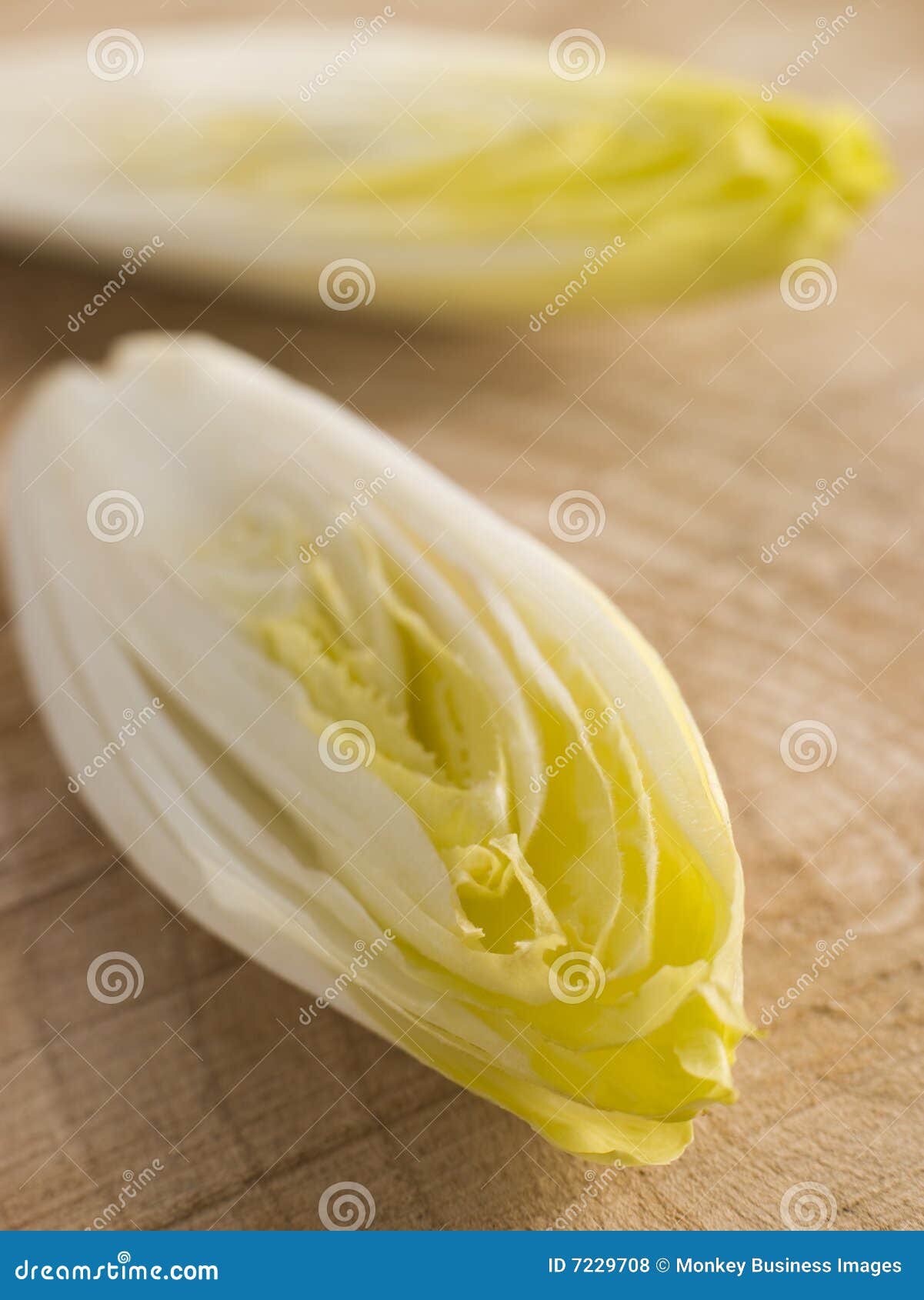 Chicory stock photo. Image of color, healthy, freshness - 7229708