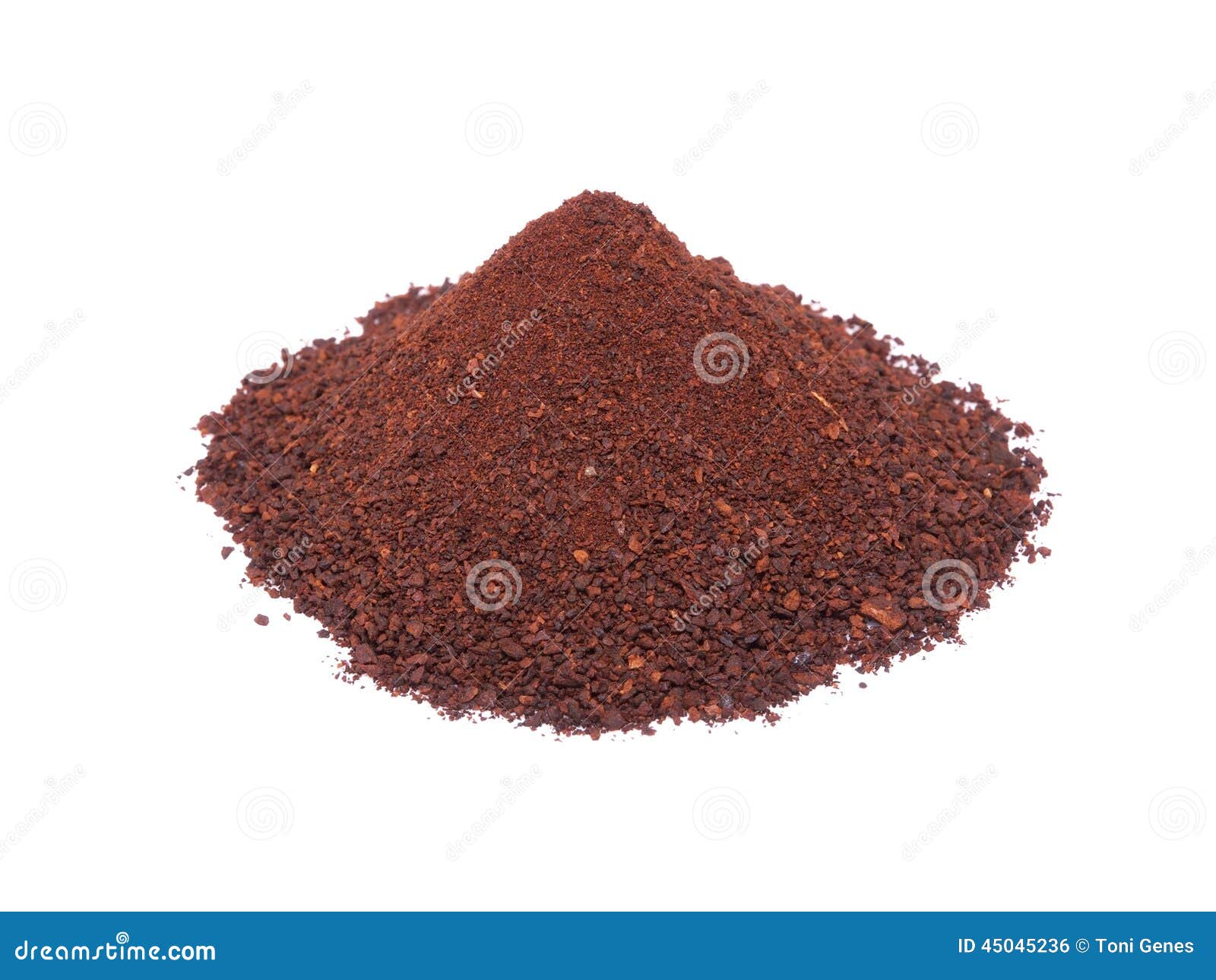 Chicory Coffee Ingredient Isolated on White Background Stock Photo ...