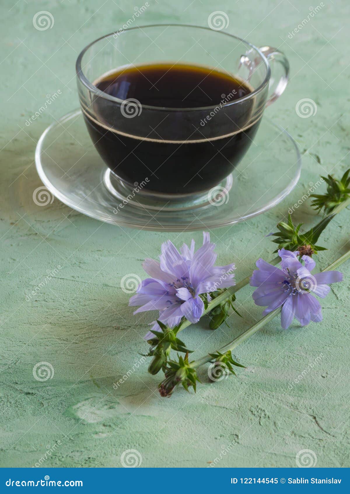 Chicory Coffee Banner With Root Decor A Sleek Banner Background Royalty ...