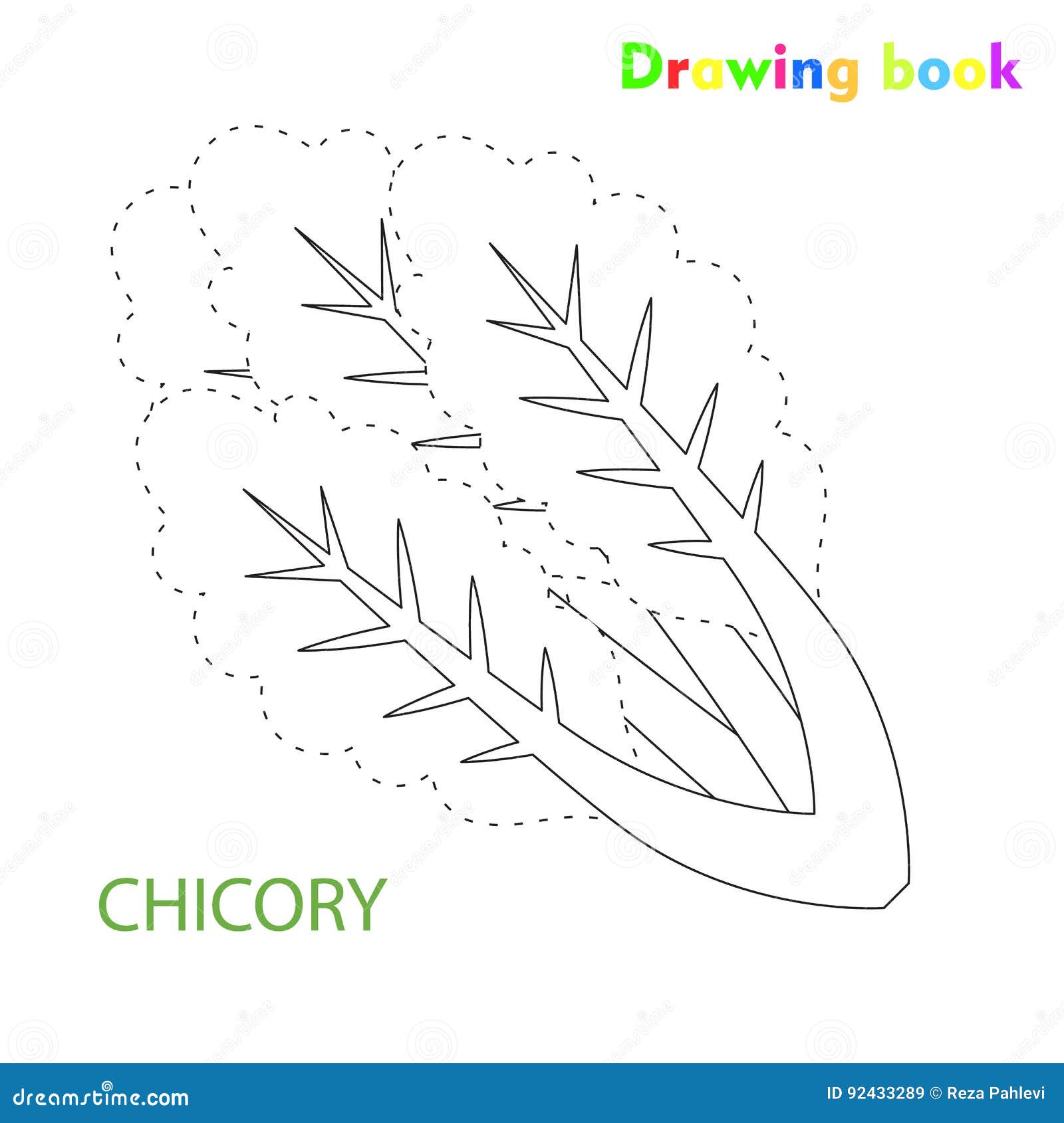 Chicory Coloring and Drawing Book Vegetable Design Illustration Stock ...