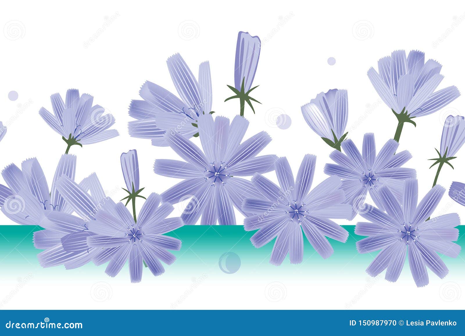 Chicory Flowers Vector Seamless Pattern. Design for Wallpapers, Textile ...