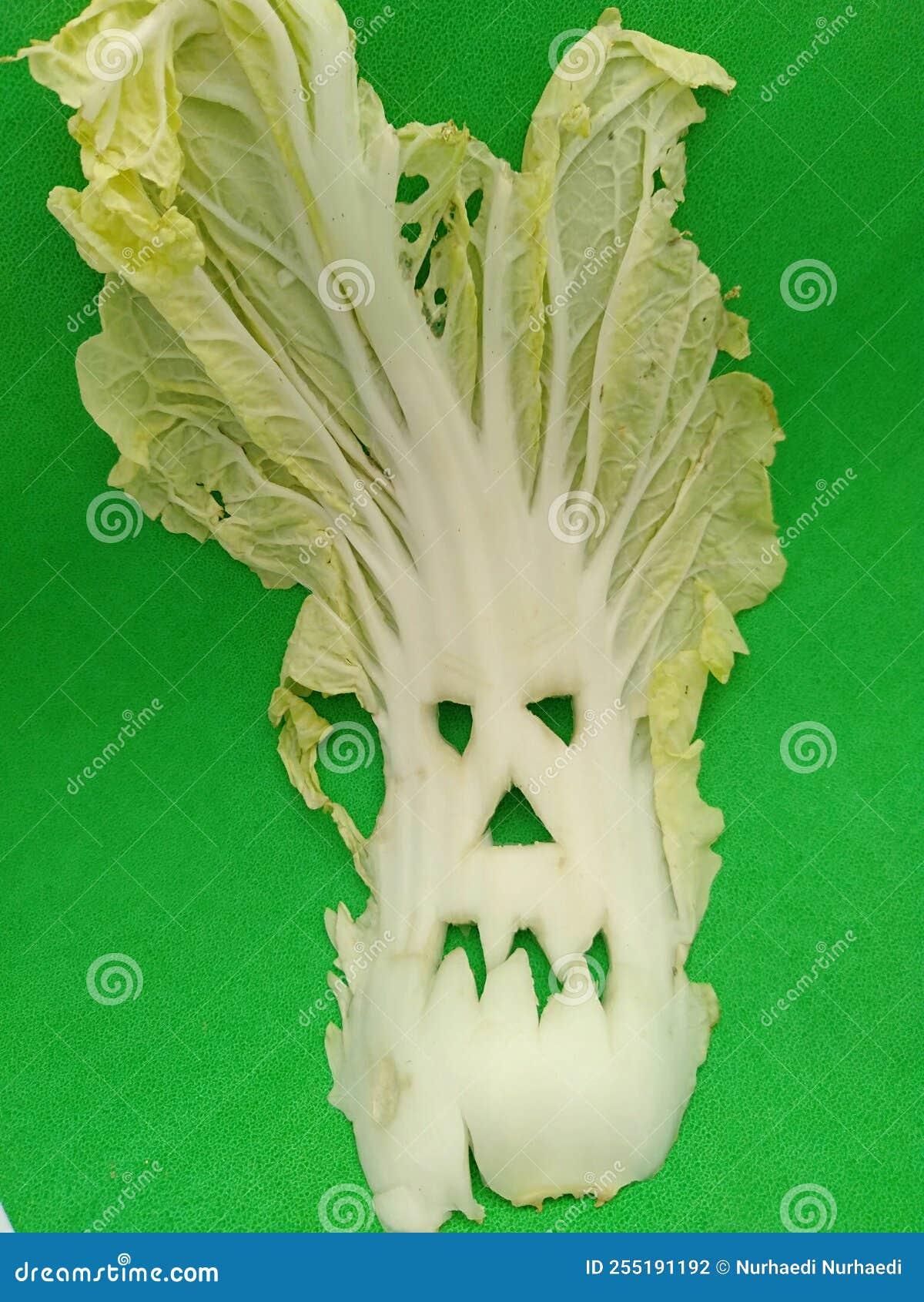 The Chicory Heloin Mask is Very Scary Stock Photo - Image of flower ...