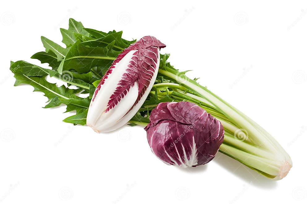 Chicory mix stock image. Image of tips, healthy, crunchy - 28404867