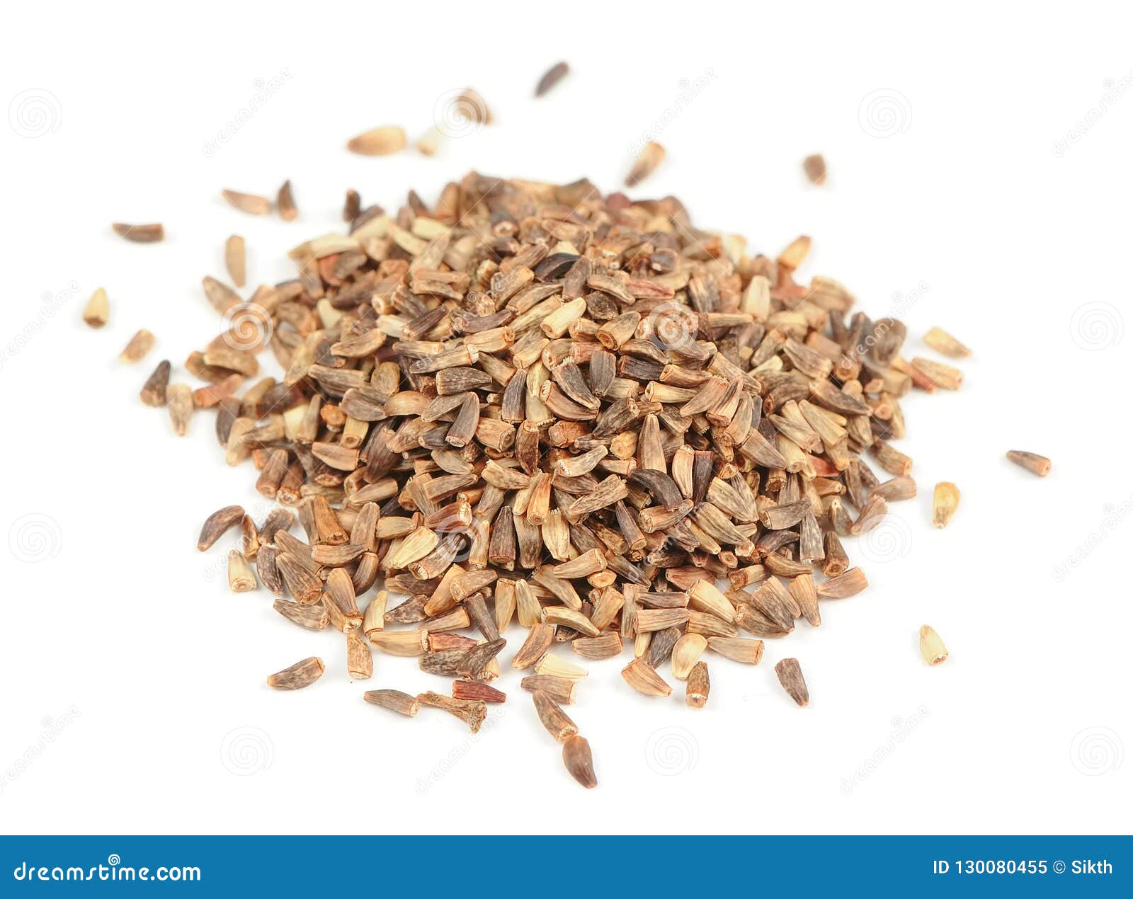 Chicory Seeds Isolated on White Background Stock Image - Image of ...