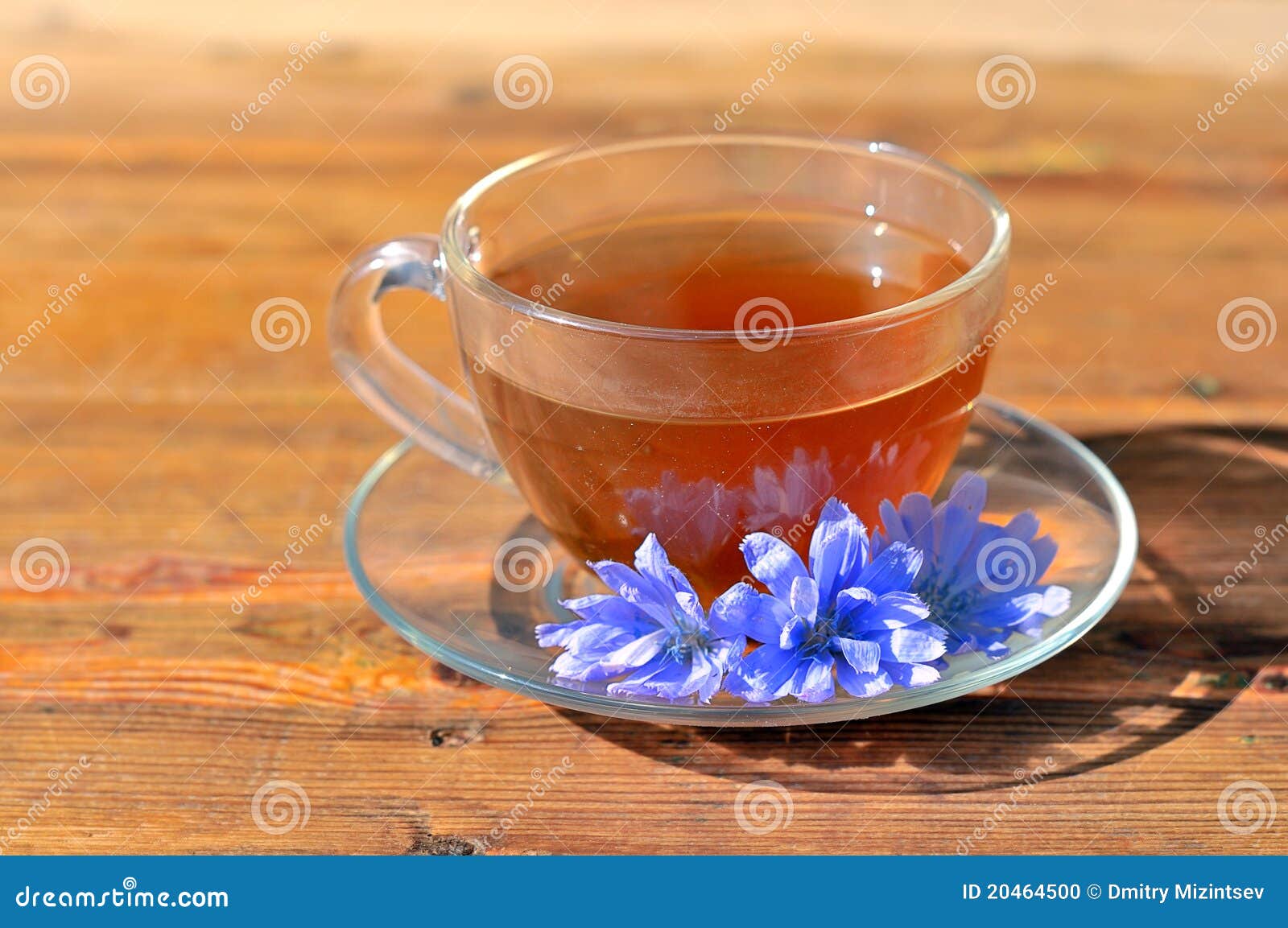Chicory tea. stock photo. Image of brew, floral, flora - 20464500