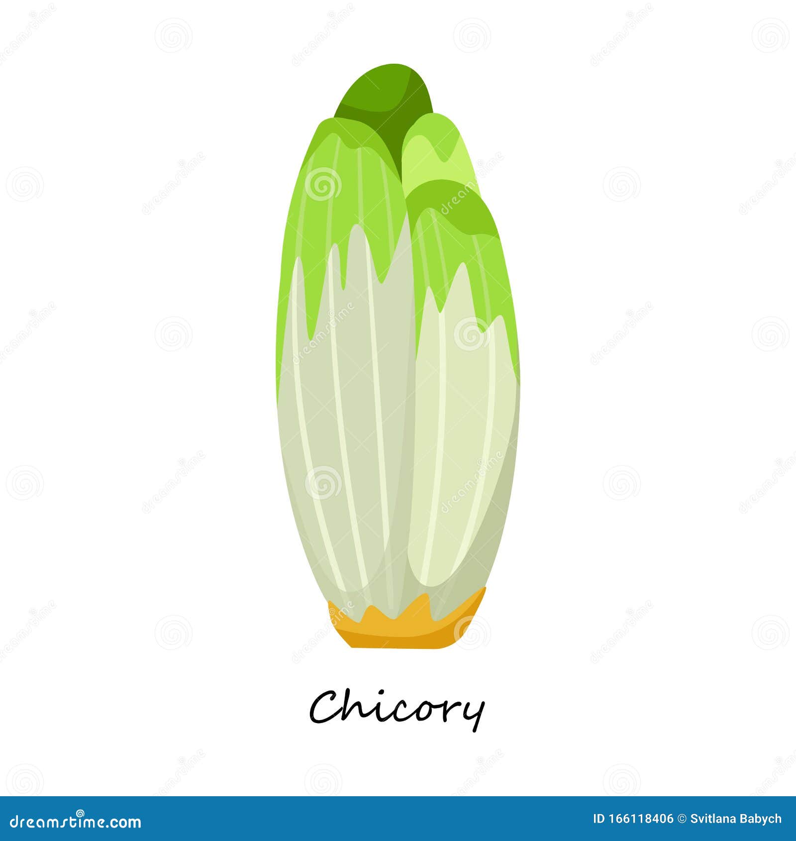 Chicory Vector Icon.Cartoon Vector Icon Isolated on White Background ...
