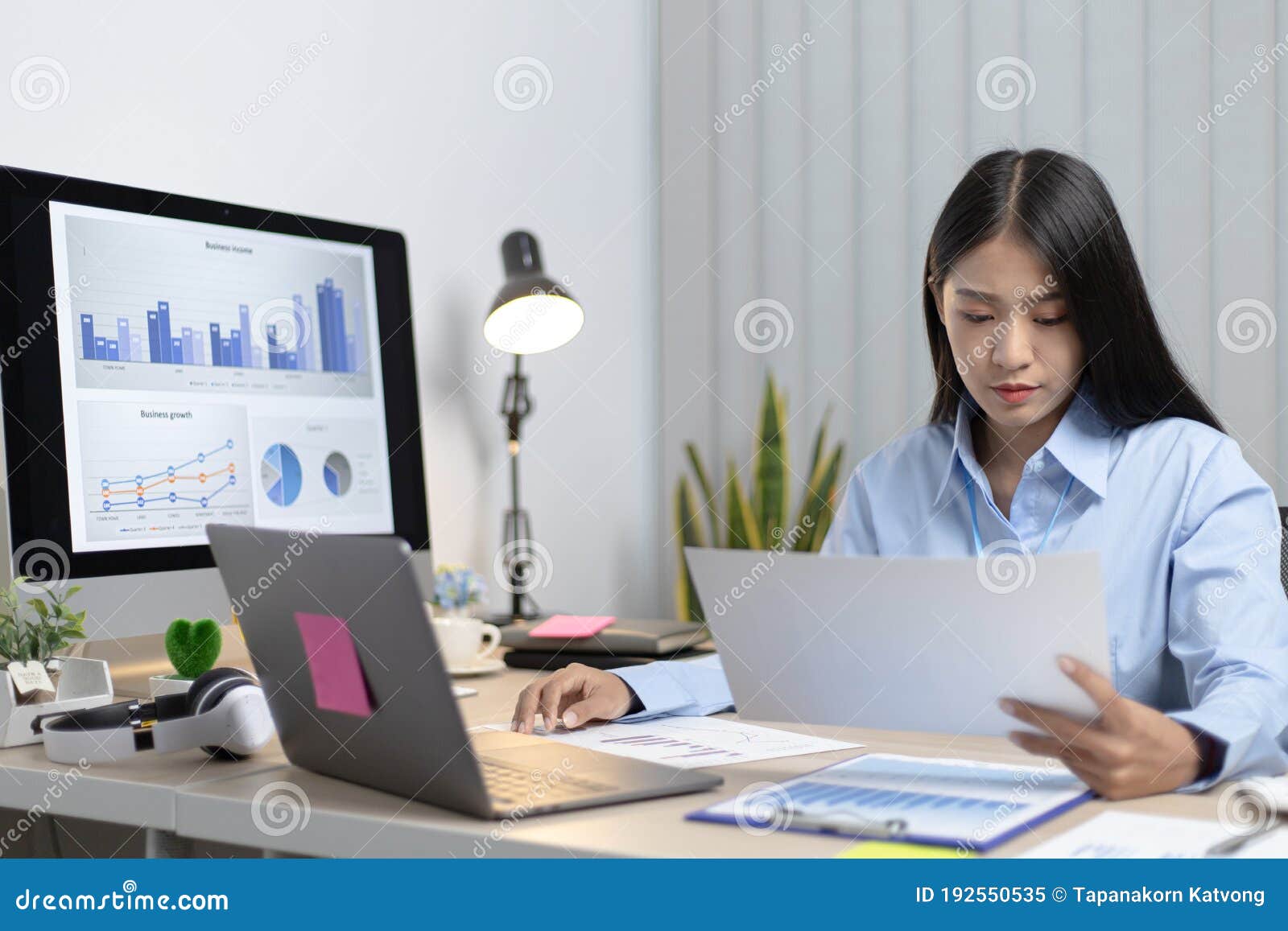 Chief Marketing Officer in Asia is Analyzing the Company`s Financial ...