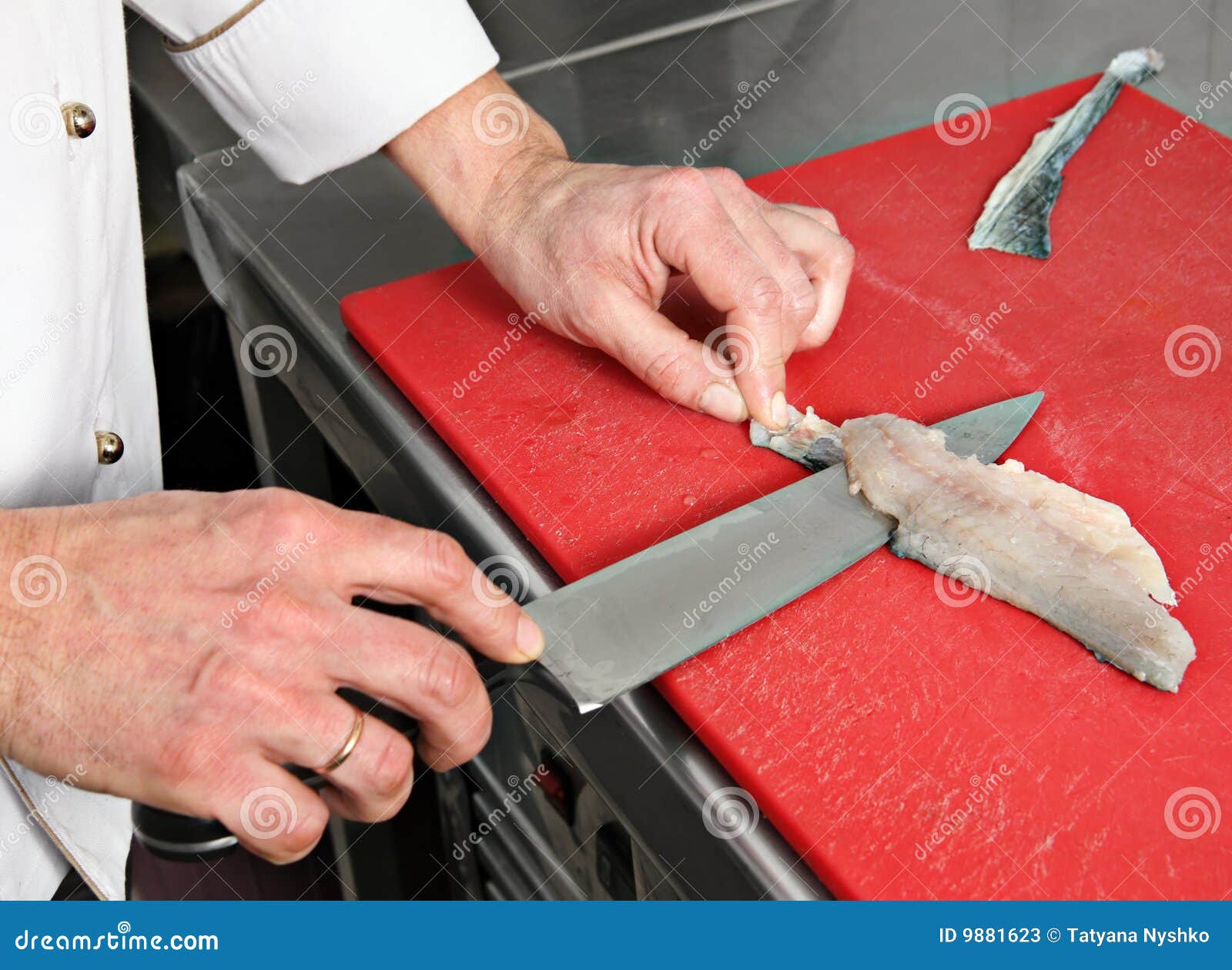 Chief separate fish stock image. Image of kitchen, separate - 9881623