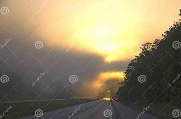 Chien de Sun image stock. Image du chaussée, horizon - 60563155