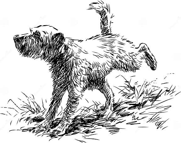 Chien ridicule illustration de vecteur. Illustration du drôle - 31151928