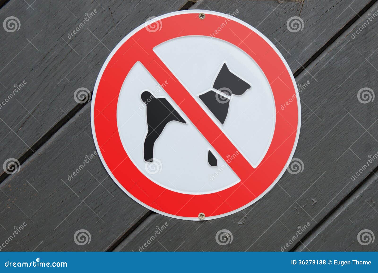 Chiens interdits ! photo stock. Image du crabots, interdiction - 36278188