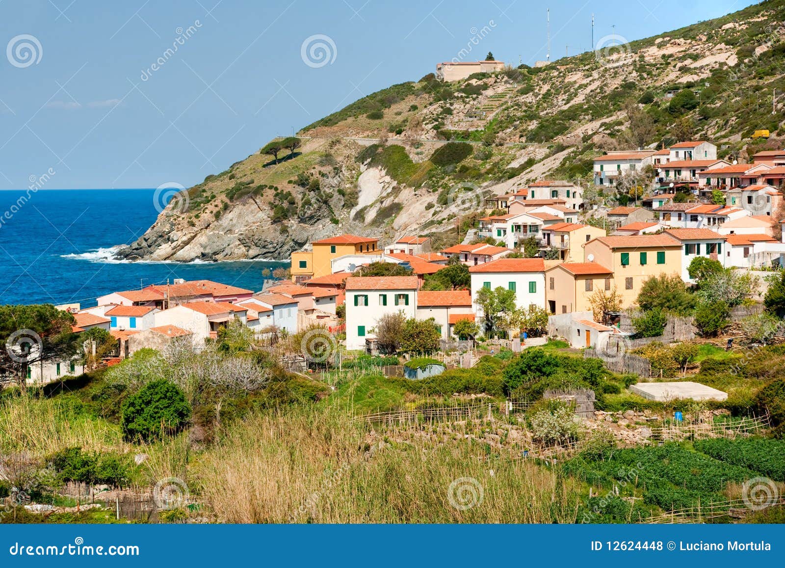 Chiessi, Isle of Elba, Tuscany, Stock Photo - Image of ocean ...