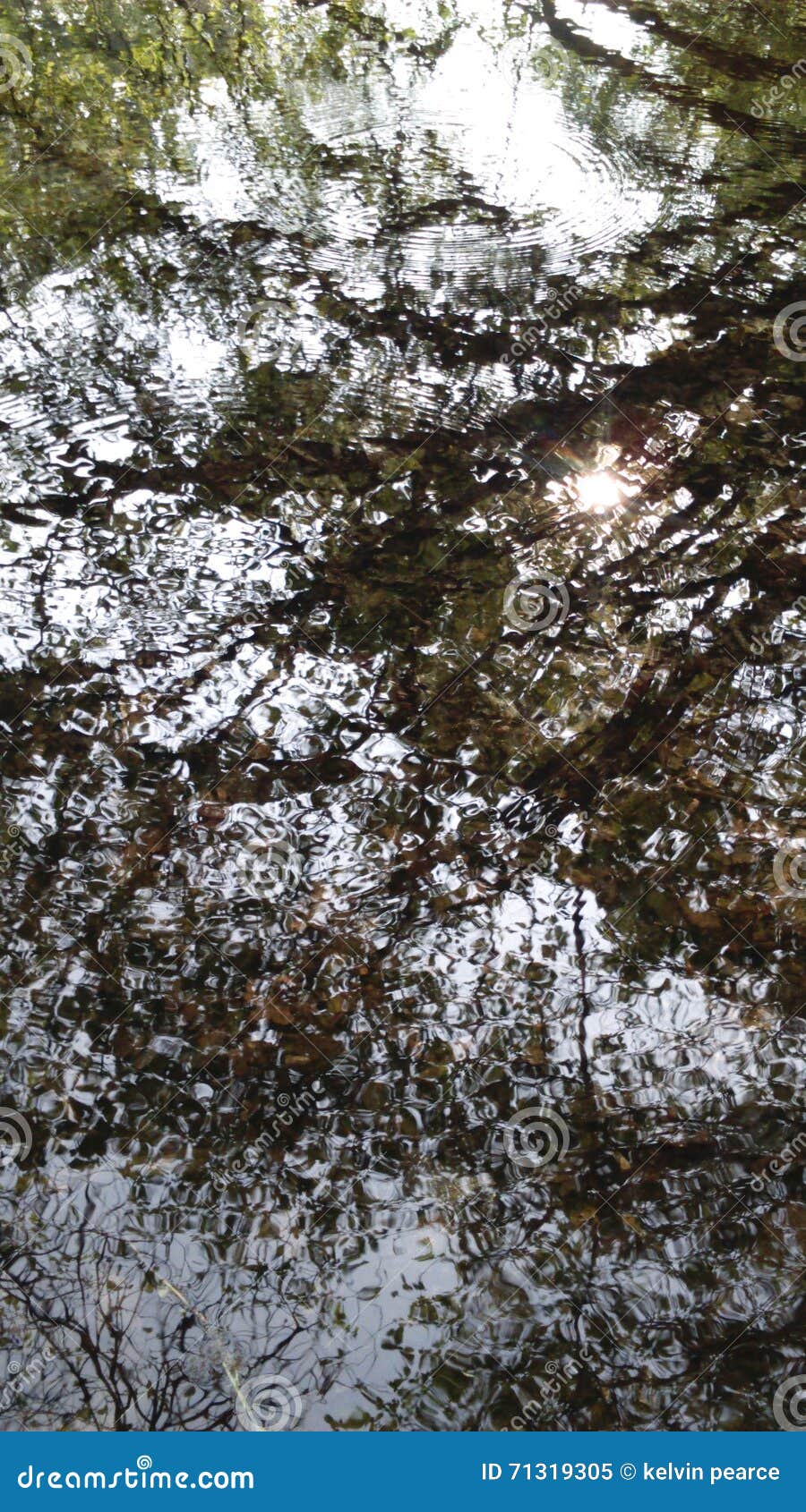 Chieveley village woods stock image. Image of village - 71319305