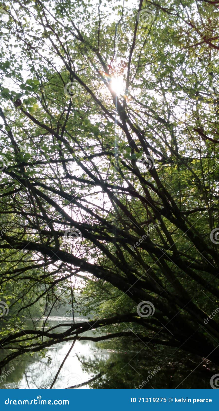 Chieveley Village Woods Stock Photos - Free & Royalty-Free Stock Photos ...