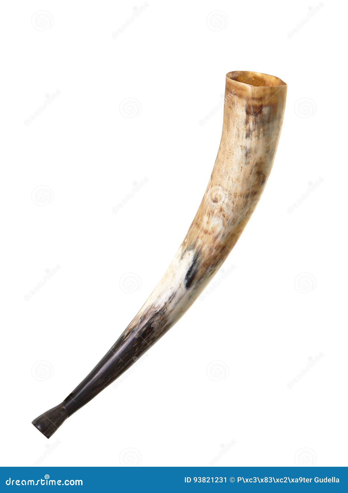 Chifre isolado no branco imagem de stock. Imagem de sopro - 93821231