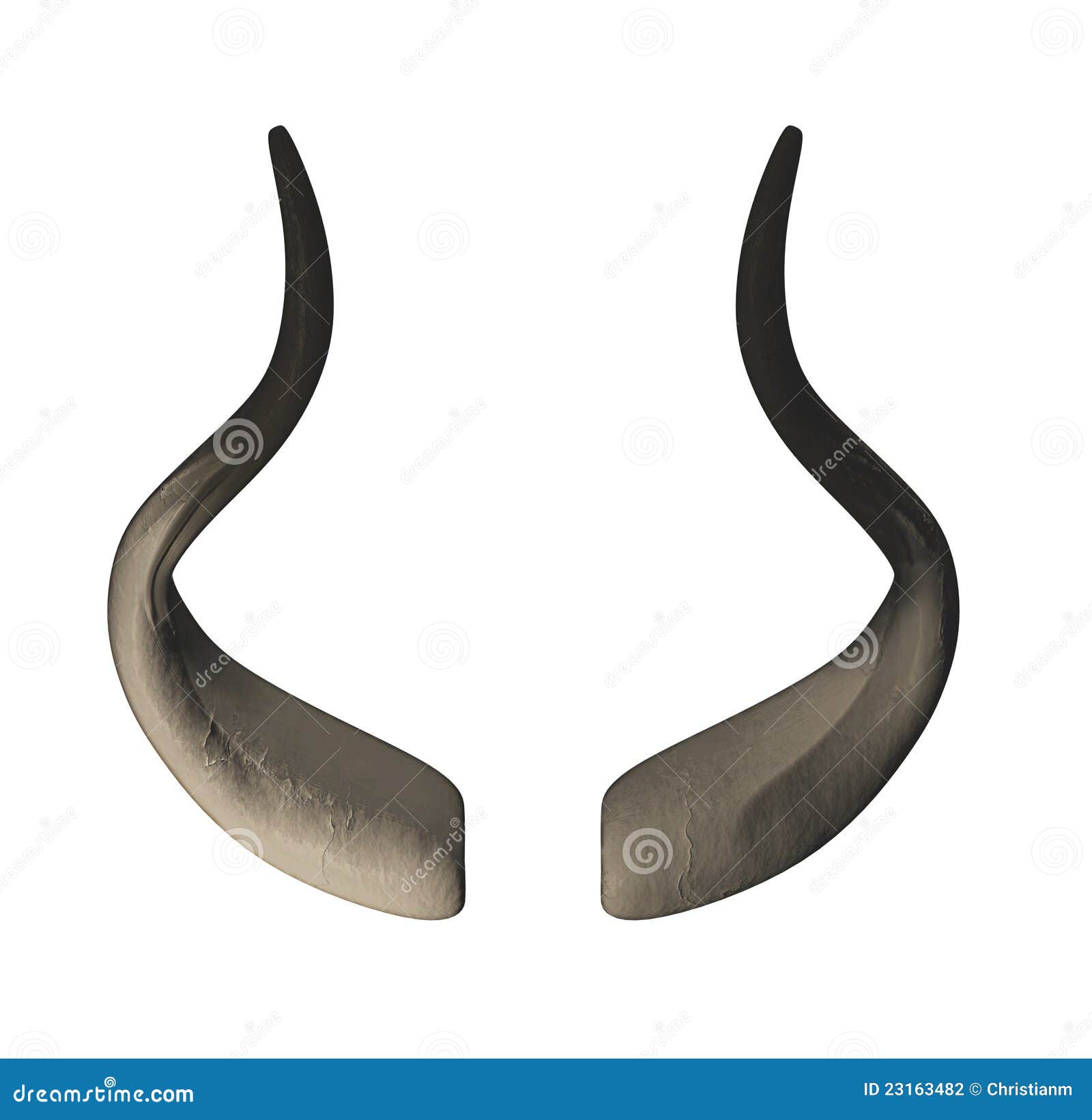 Chifres isolados foto de stock. Imagem de animal, chifre - 23163482
