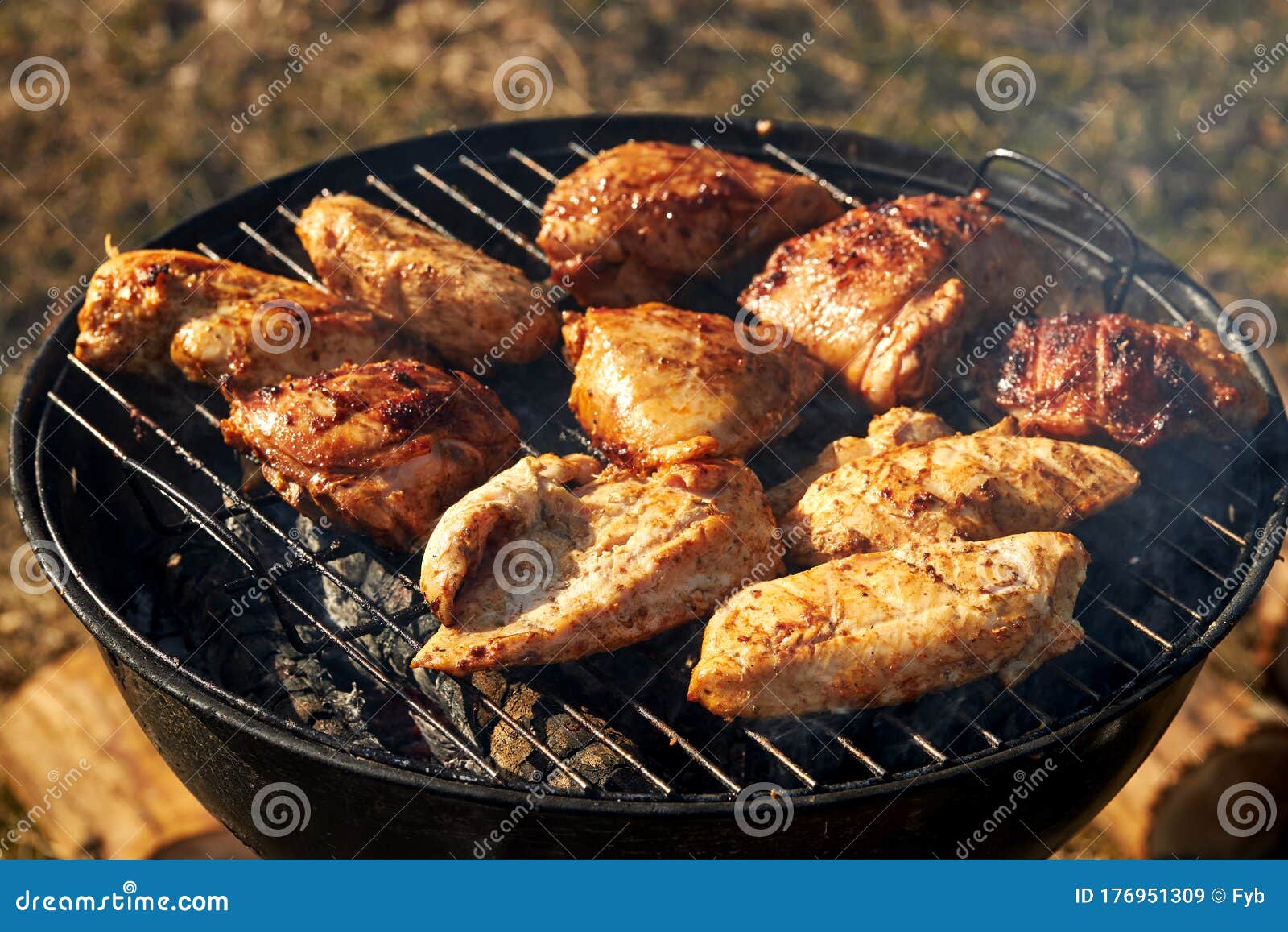 Chiken Barbeque on a Grill Roasting Open Fire Stock Image - Image of ...