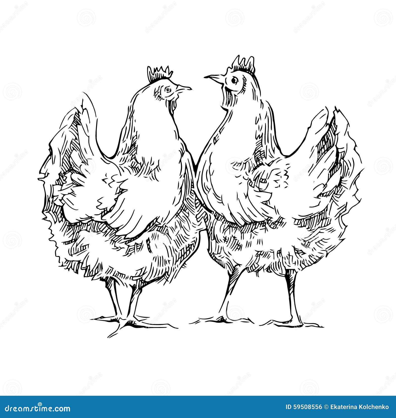 Chiken sketches. stock illustration. Illustration of chicken - 59508556
