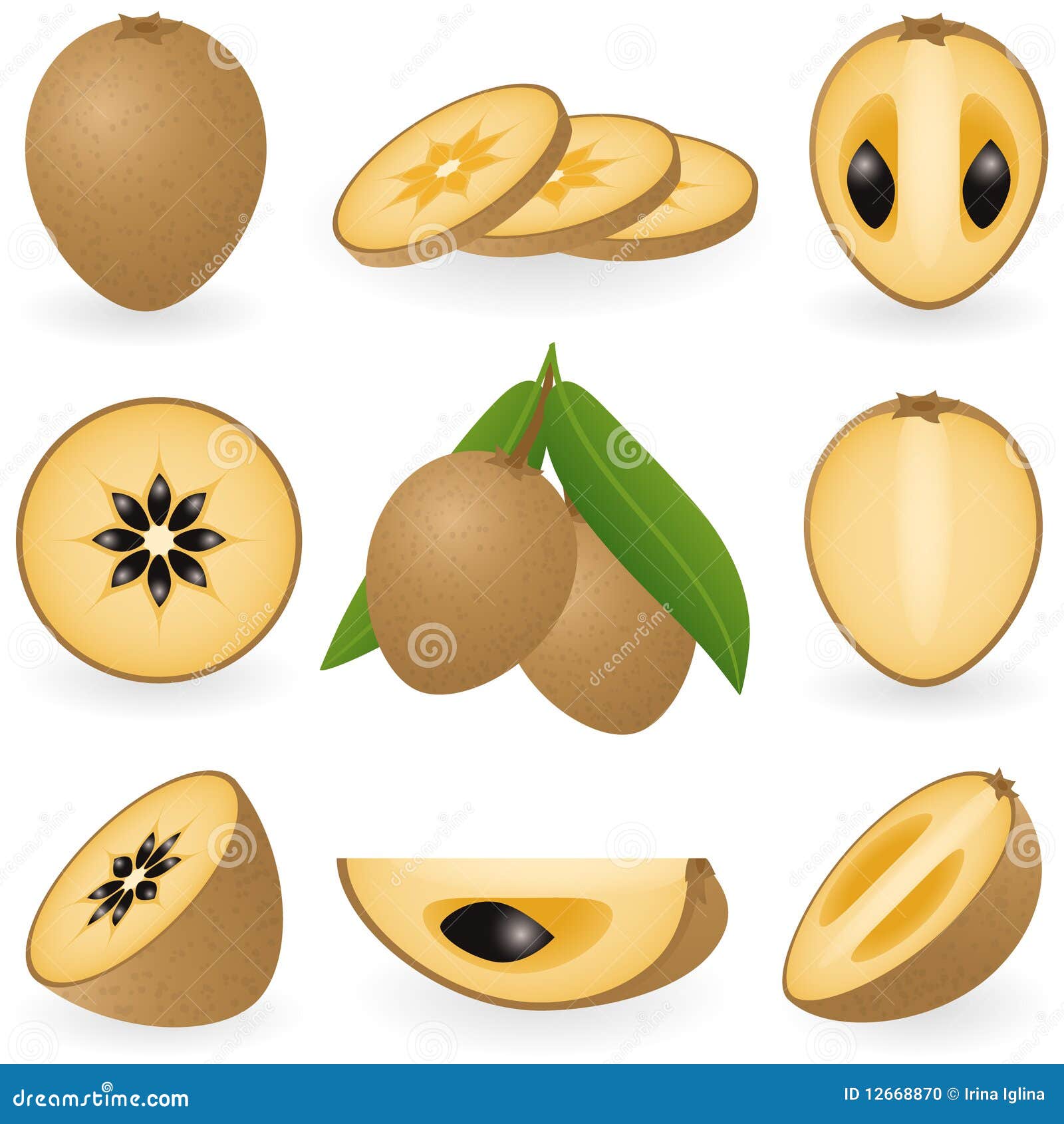 Chiku stock vector. Illustration of ingredient, internet - 12668870