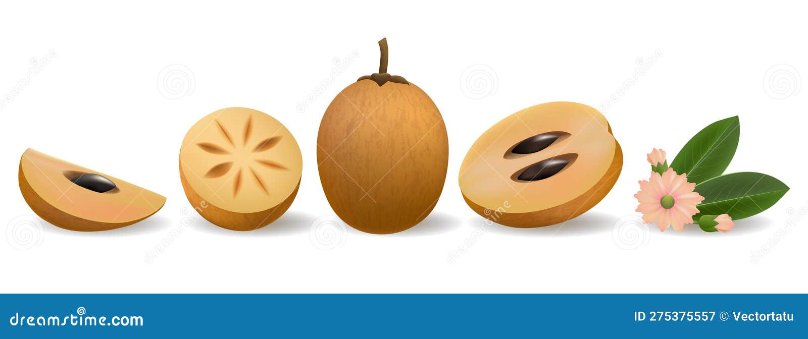 Chiku Elements In Realistic Style Cartoon Vector 275375557