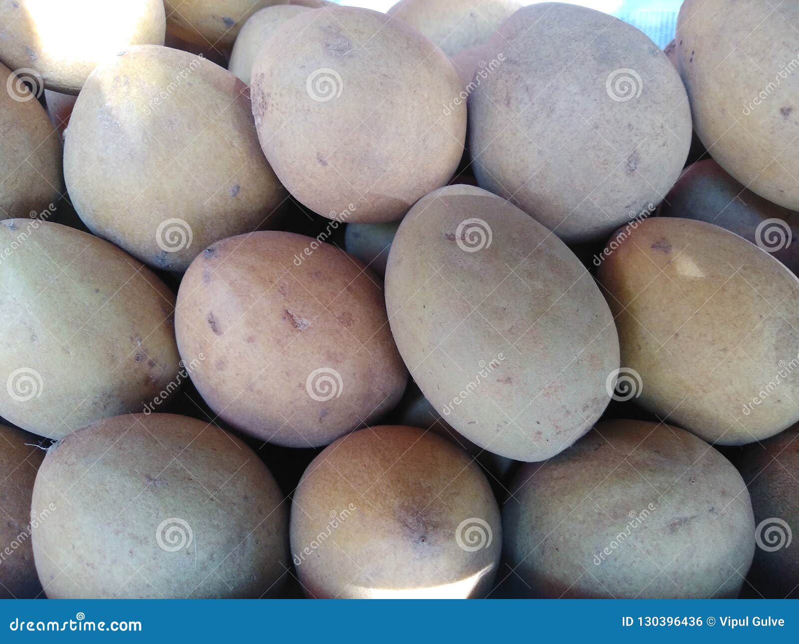 Chiku fruits stock photo. Image of real, sweet, natural - 130396436