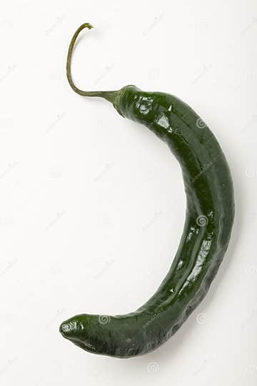 Chilaca Chili Pepper stock photo. Image of flavour, capsicum - 9237996