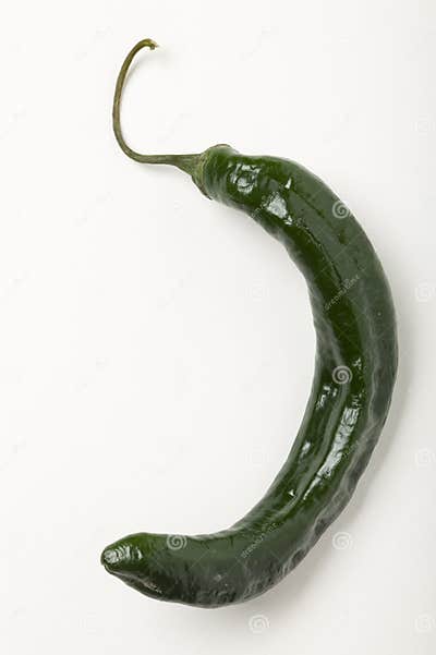 Chilaca Chili Pepper stock photo. Image of flavour, capsicum - 9237996