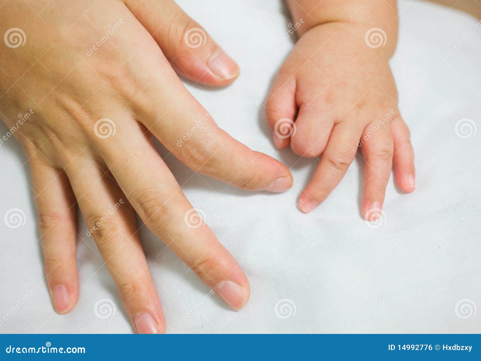 Child and adult hands stock photo. Image of cradling - 14992776
