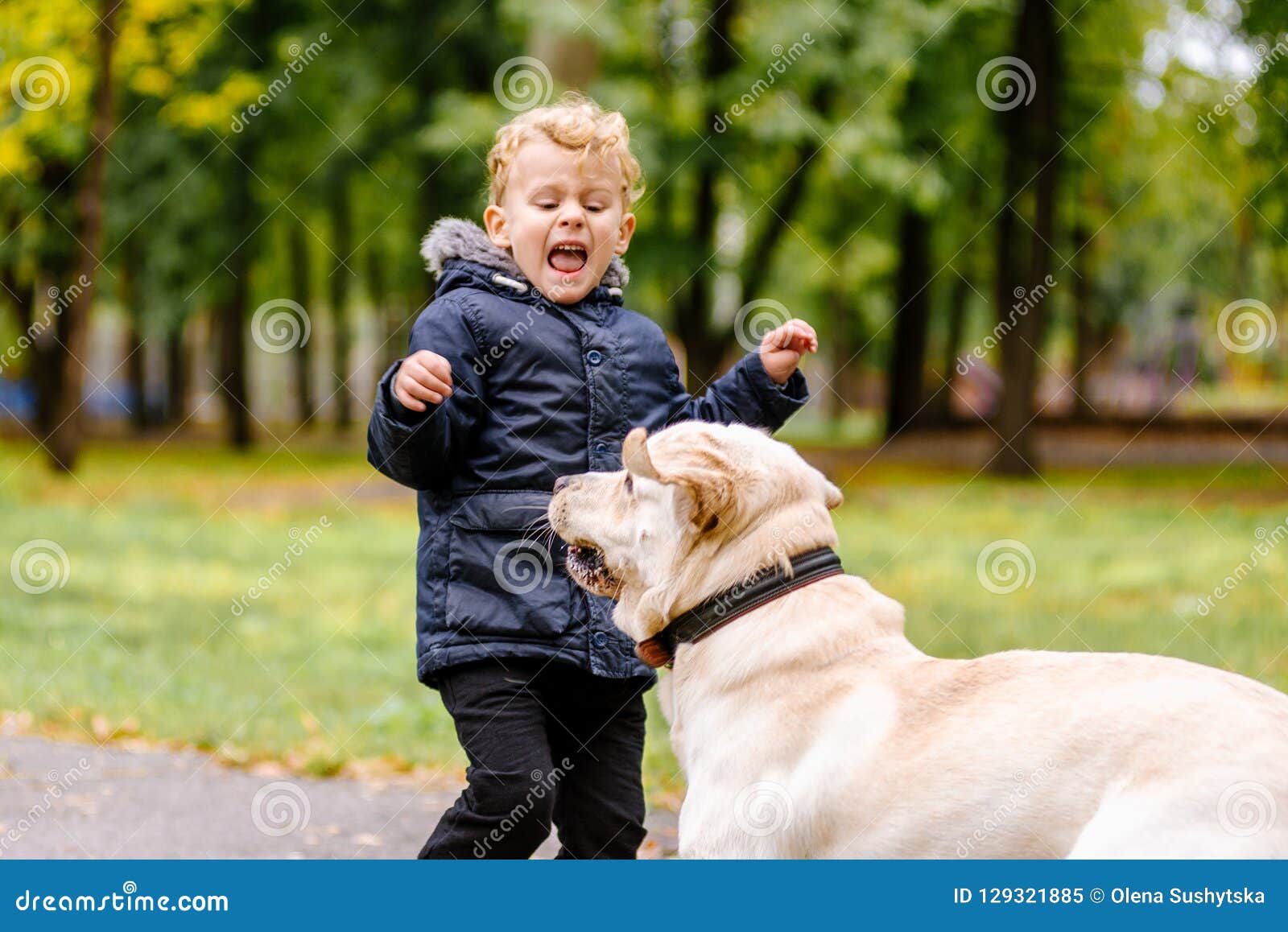 The Child is Afraid of the Dog Stock Image - Image of face, cute: 129321885