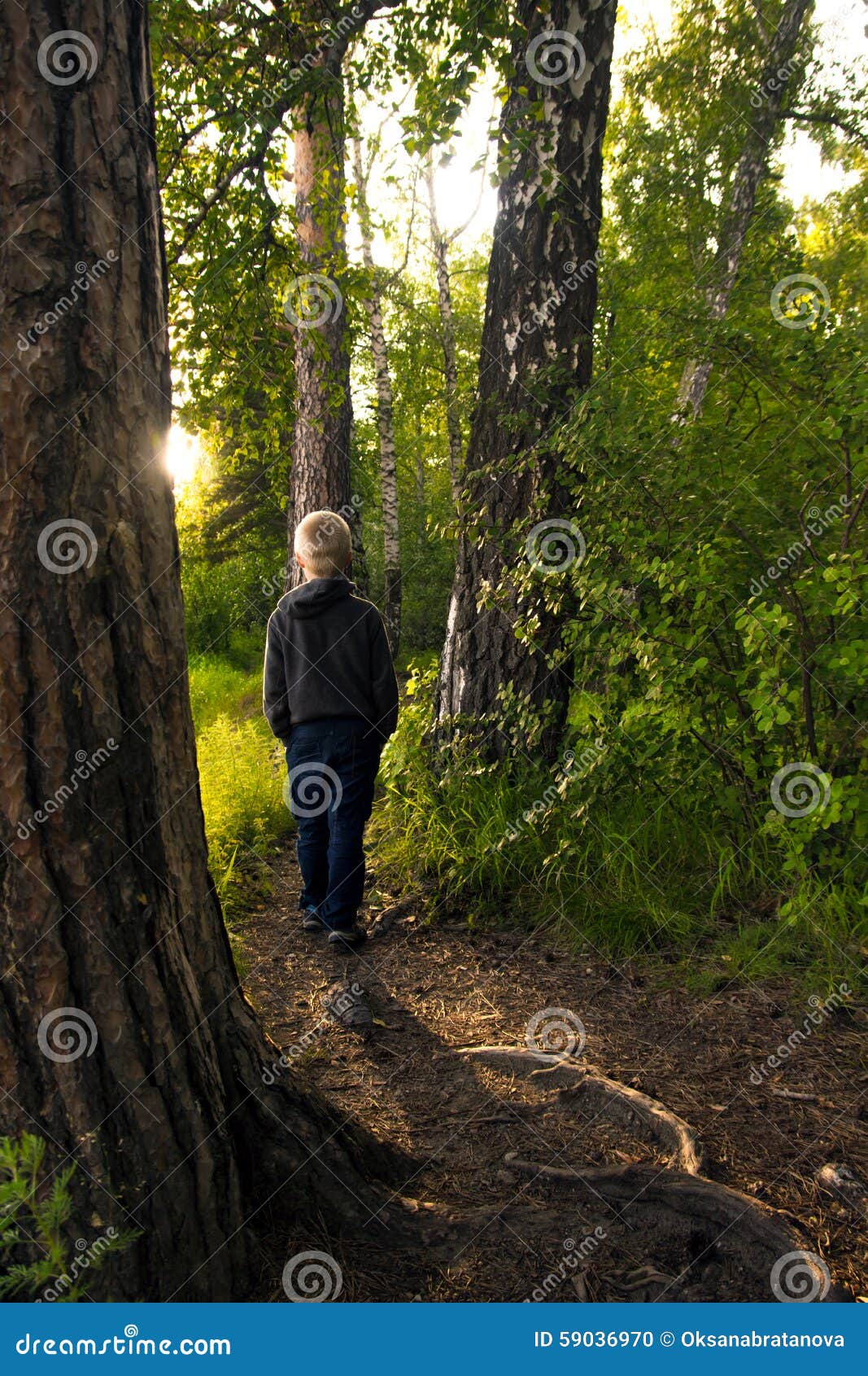 Child alone in forest stock photo. Image of camp, caucasian - 59036970