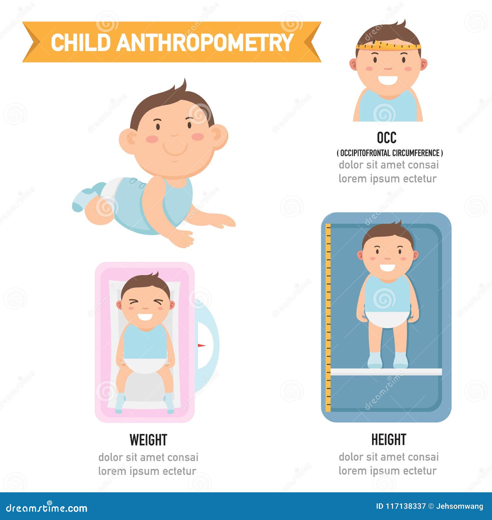 Child Anthropometry Infographic Stock Vector - Illustration of measure ...