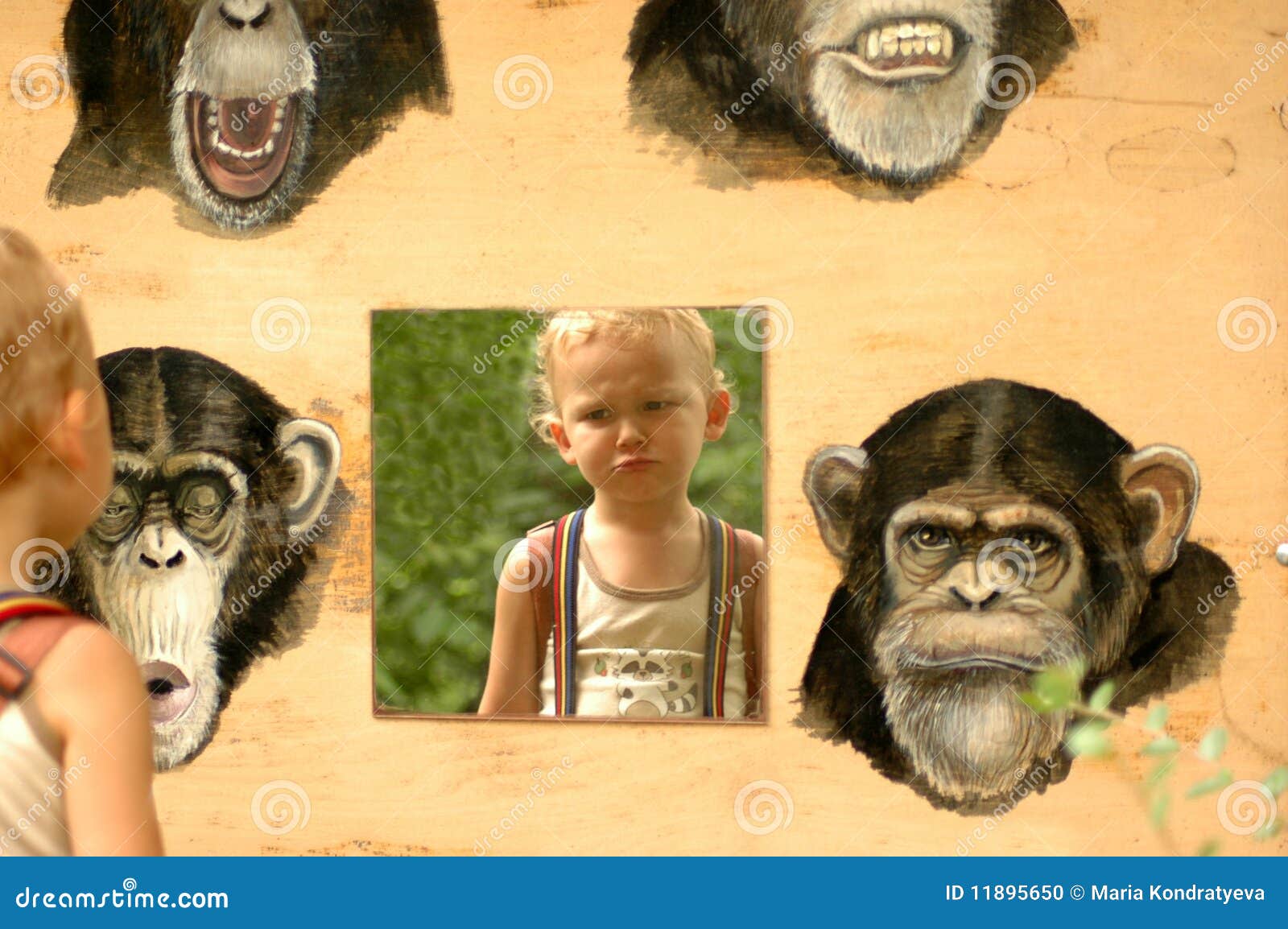 Child and ape. stock photo. Image of darwinism, chimpanzee - 11895650