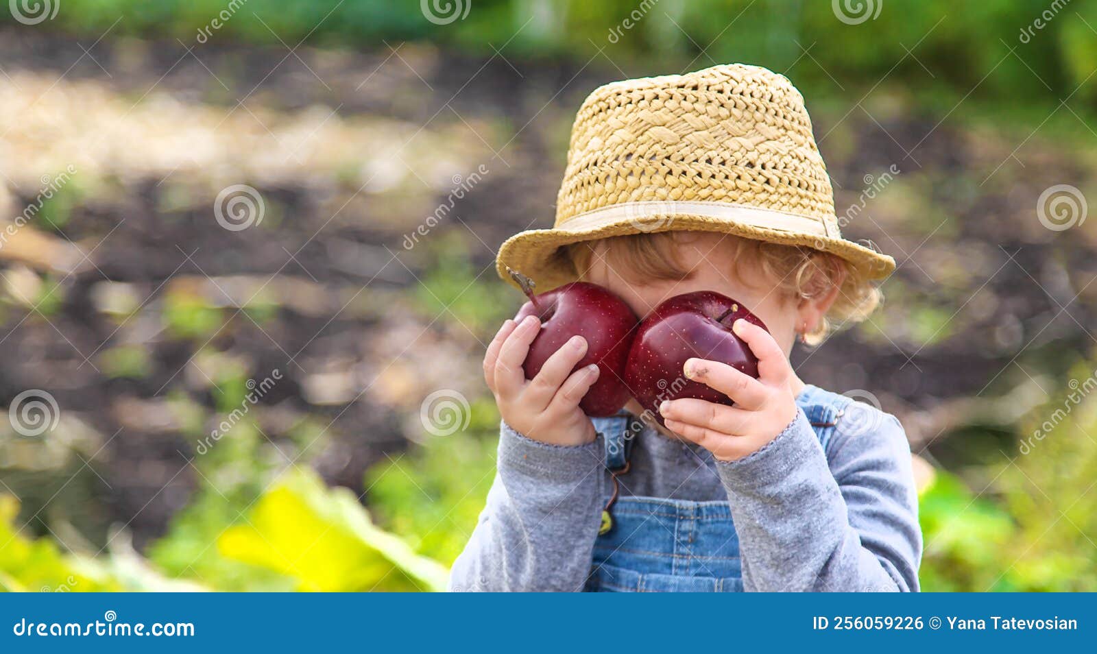 Child with Apples in the Garden. Selective Focus Stock Photo - Image of ...