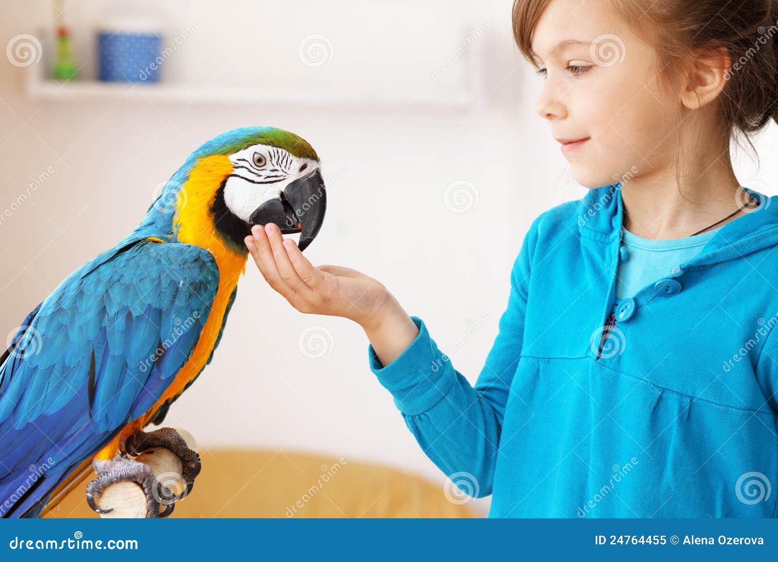 Child with ara parrot stock image. Image of european - 24764455