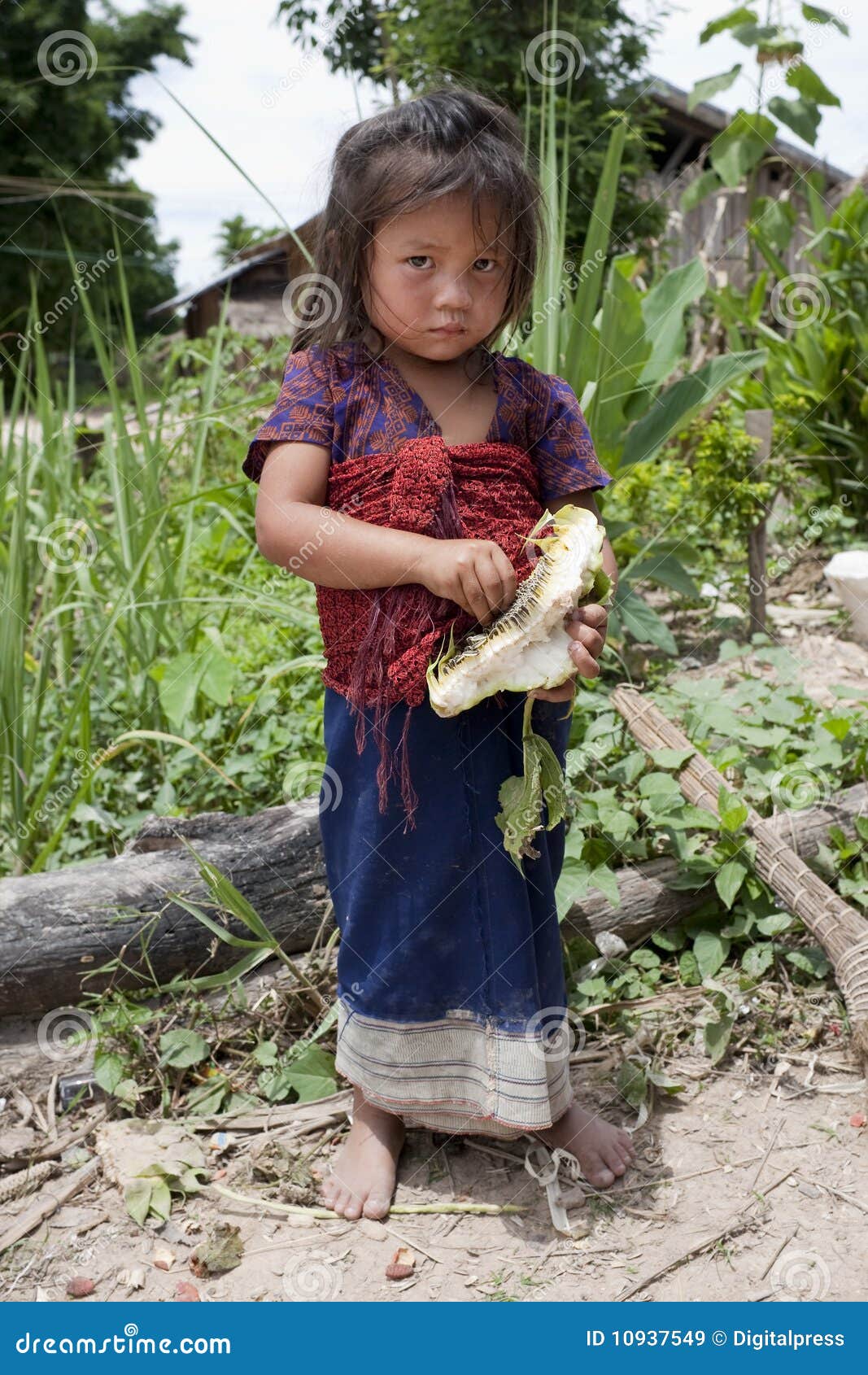 Child of Asia in Laos stock image. Image of poverty, sunflower - 10937549