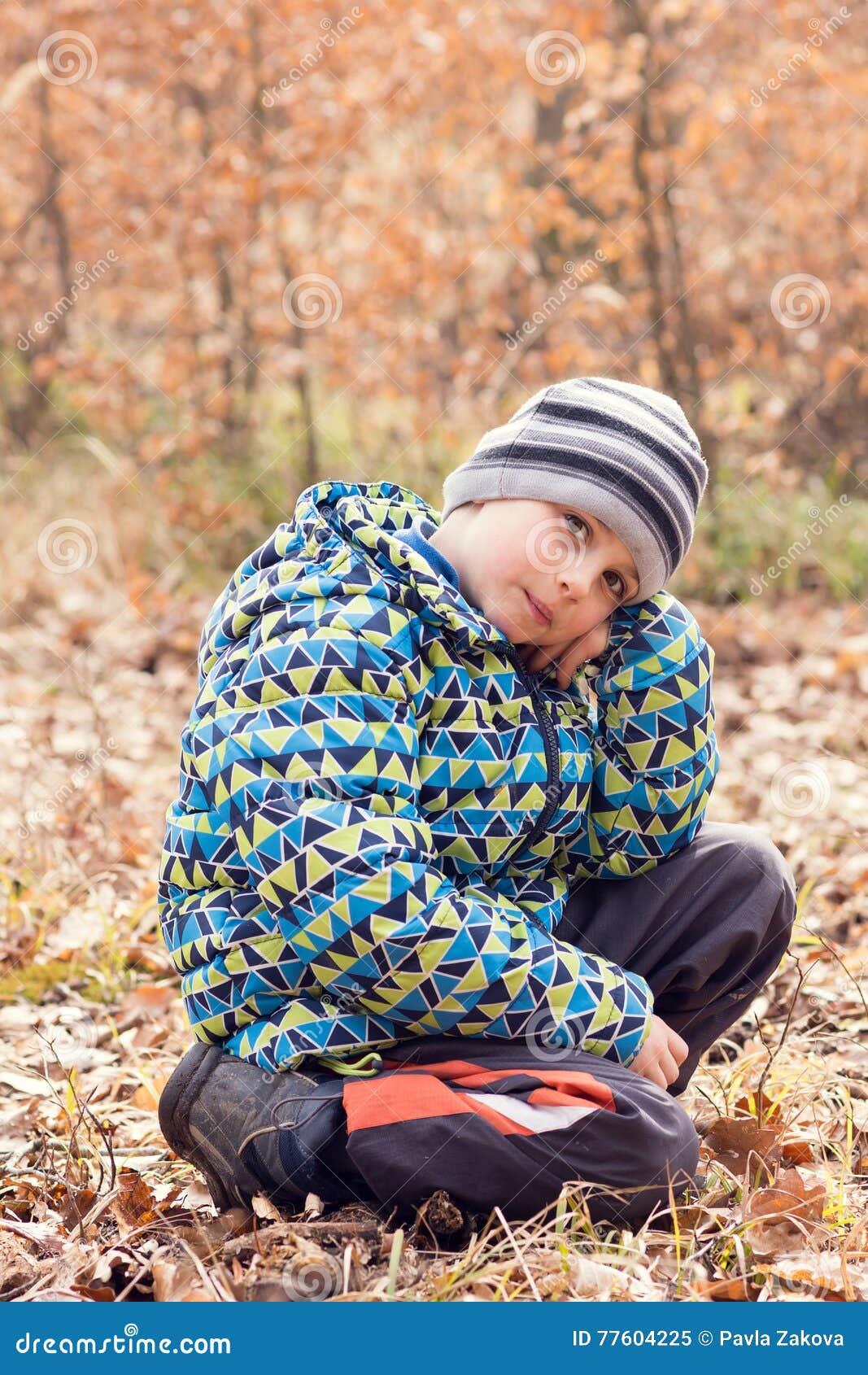 Child in autumn forest stock image. Image of childhood - 77604225