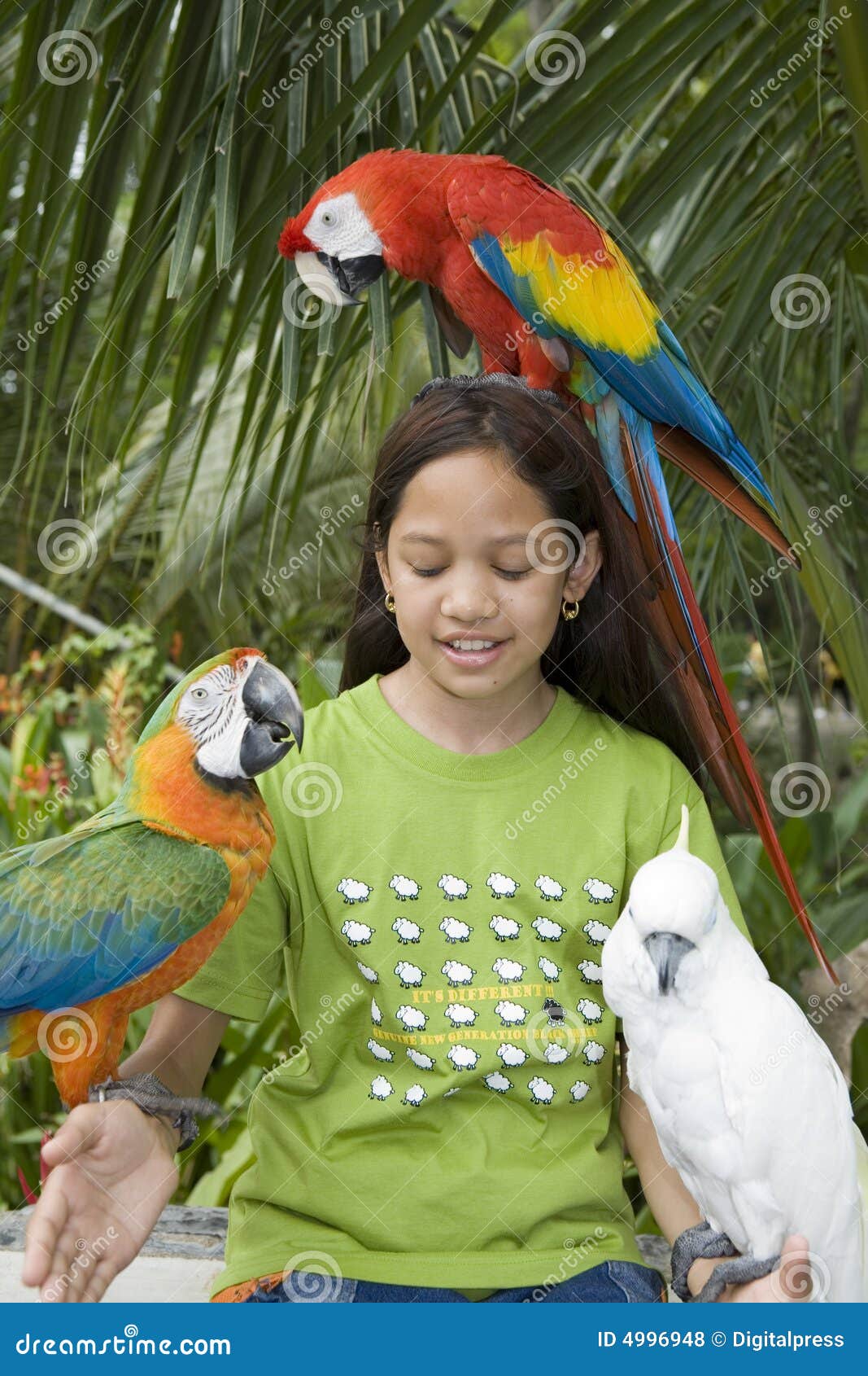 Child with Beautiful Parrots Stock Photo - Image of teenager, parrot ...