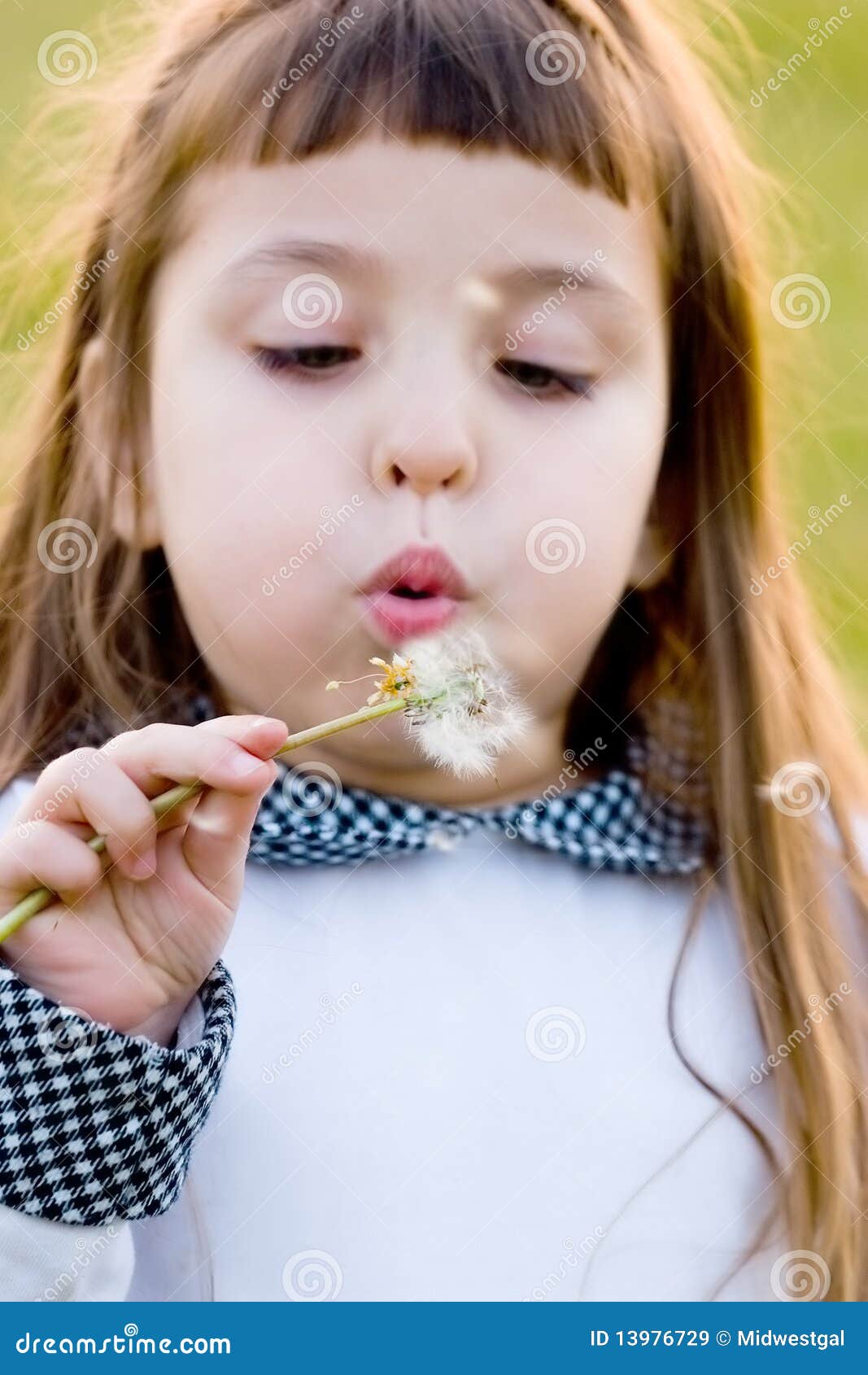 Child Blowing Dandelion stock image. Image of portrait - 13976729
