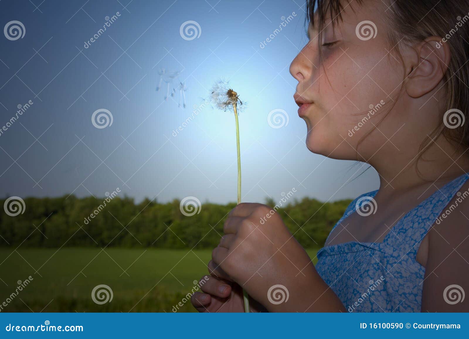 Child blowing dandelion stock photo. Image of spreading - 16100590