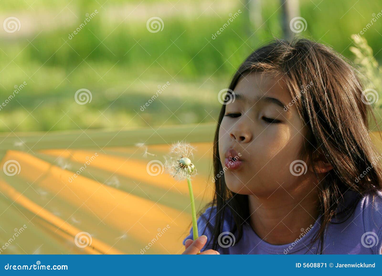 Child blowing dandelion stock image. Image of mixed, blowing - 5608871