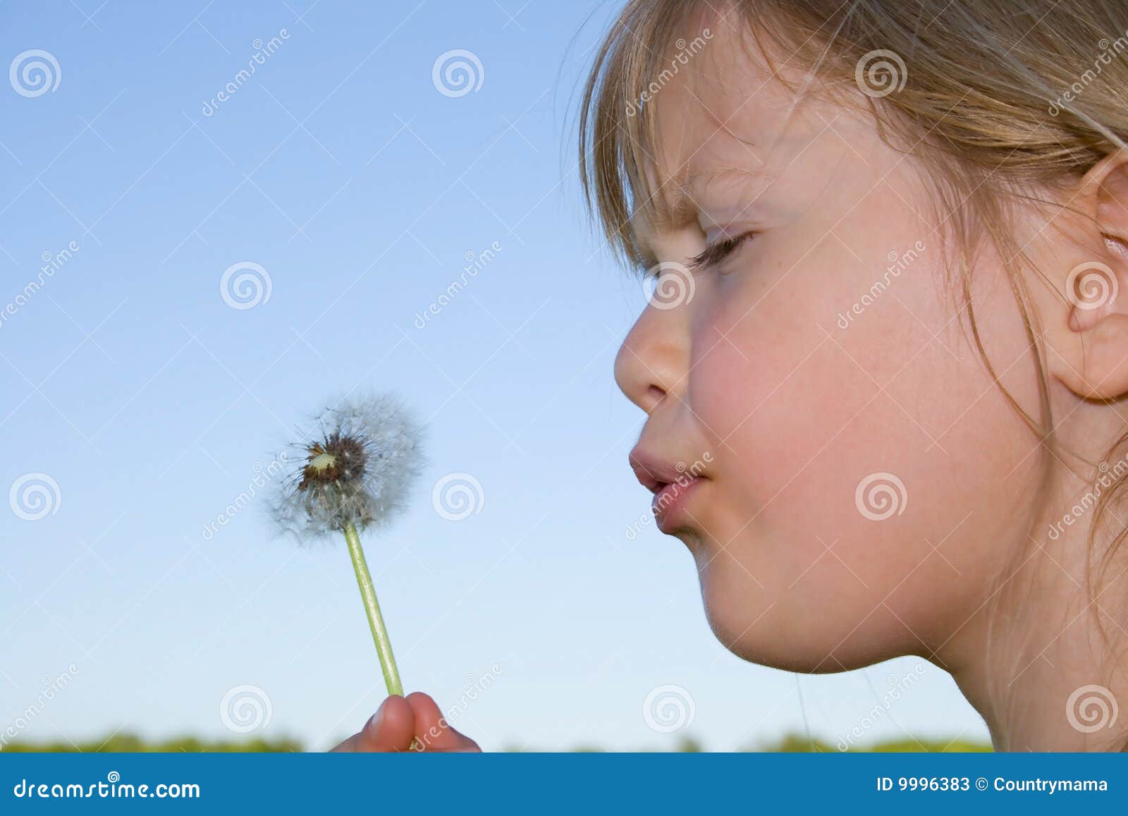 Child blowing dandelion. stock image. Image of youth, carefree - 9996383