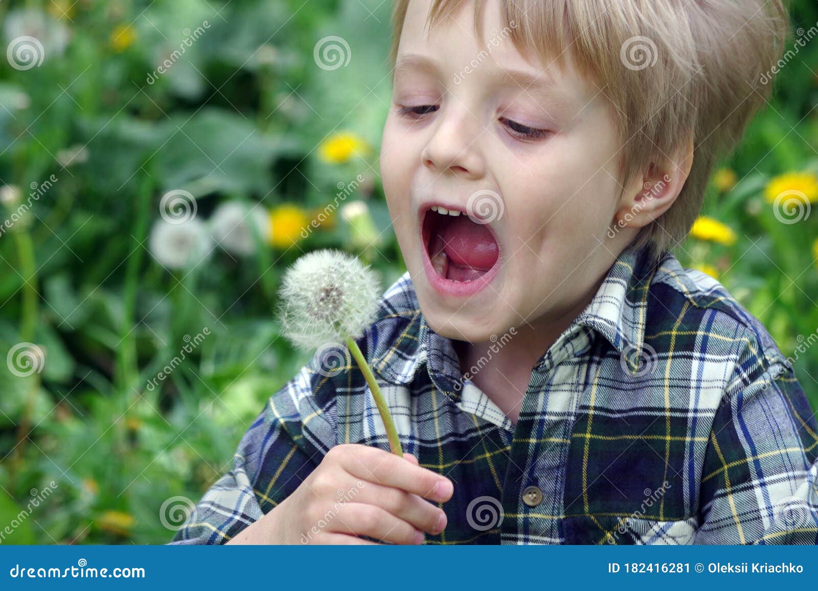 Child Blowing Dandelion. Boy in the Meadow with Dandelion. Copy Space ...