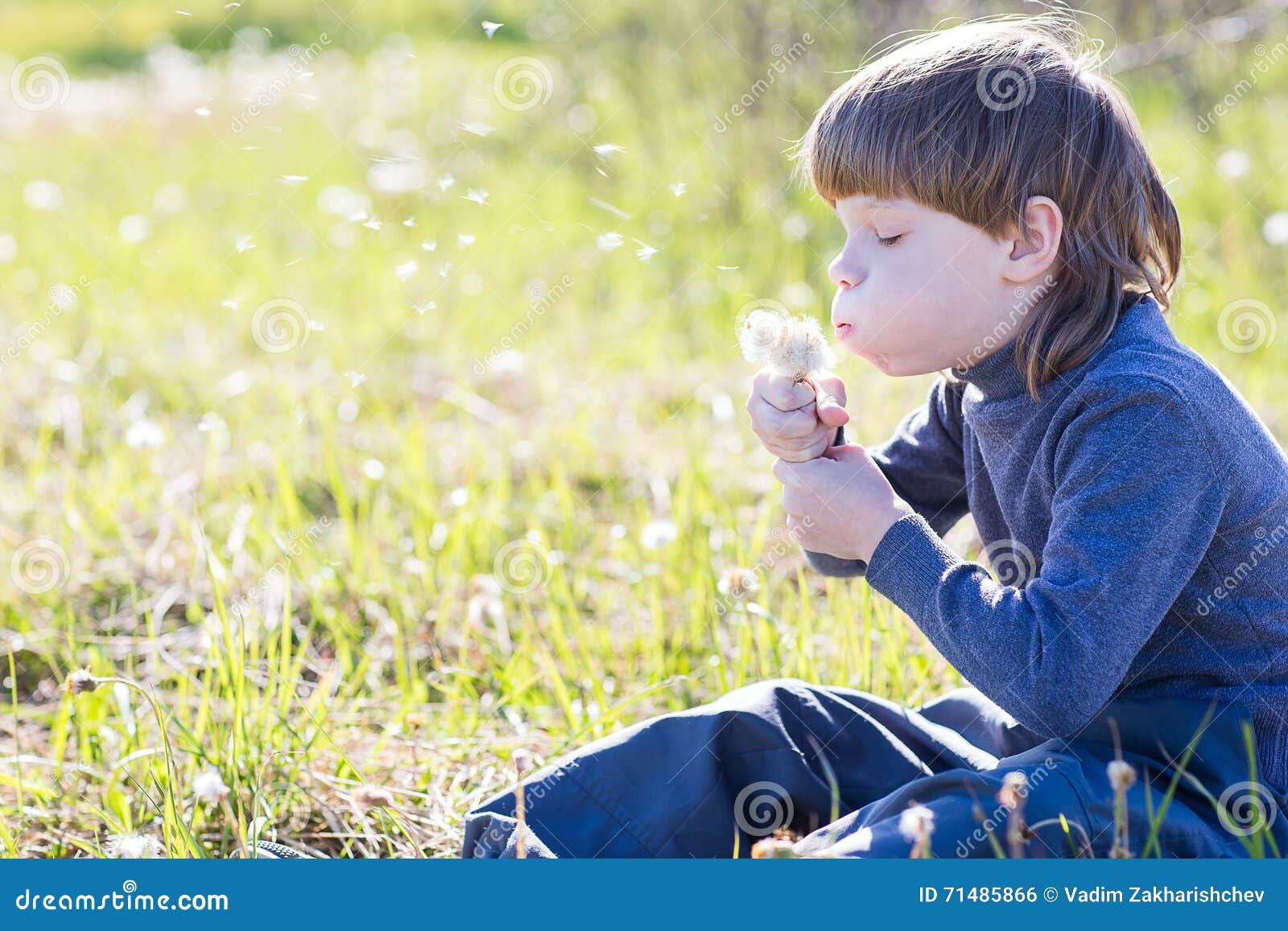 Child blowing dandelion stock photo. Image of flying - 71485866
