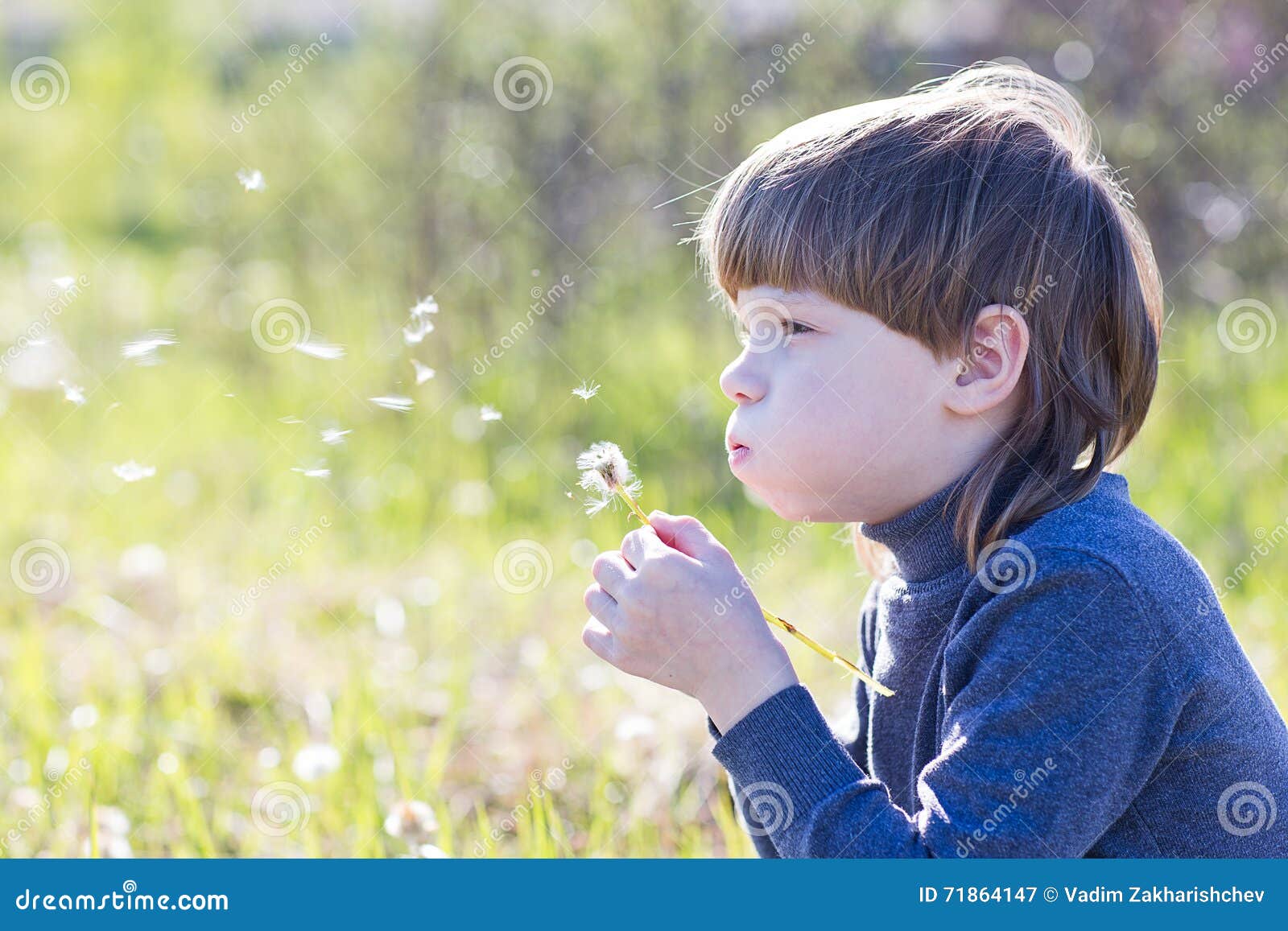 Child blowing dandelion stock image. Image of concept - 71864147