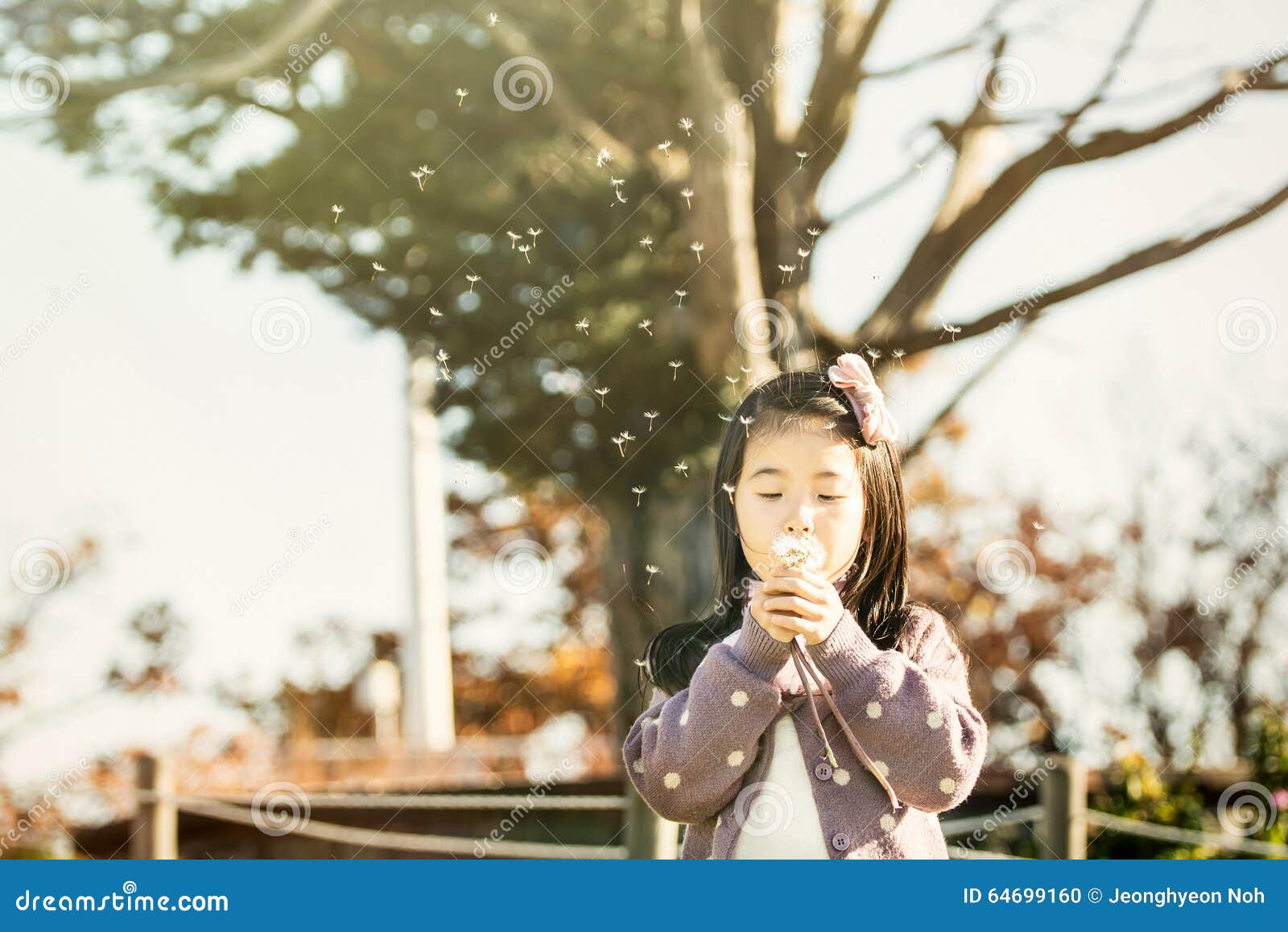 Child Blowing a Dandelion in a Park Stock Photo - Image of dandelion ...