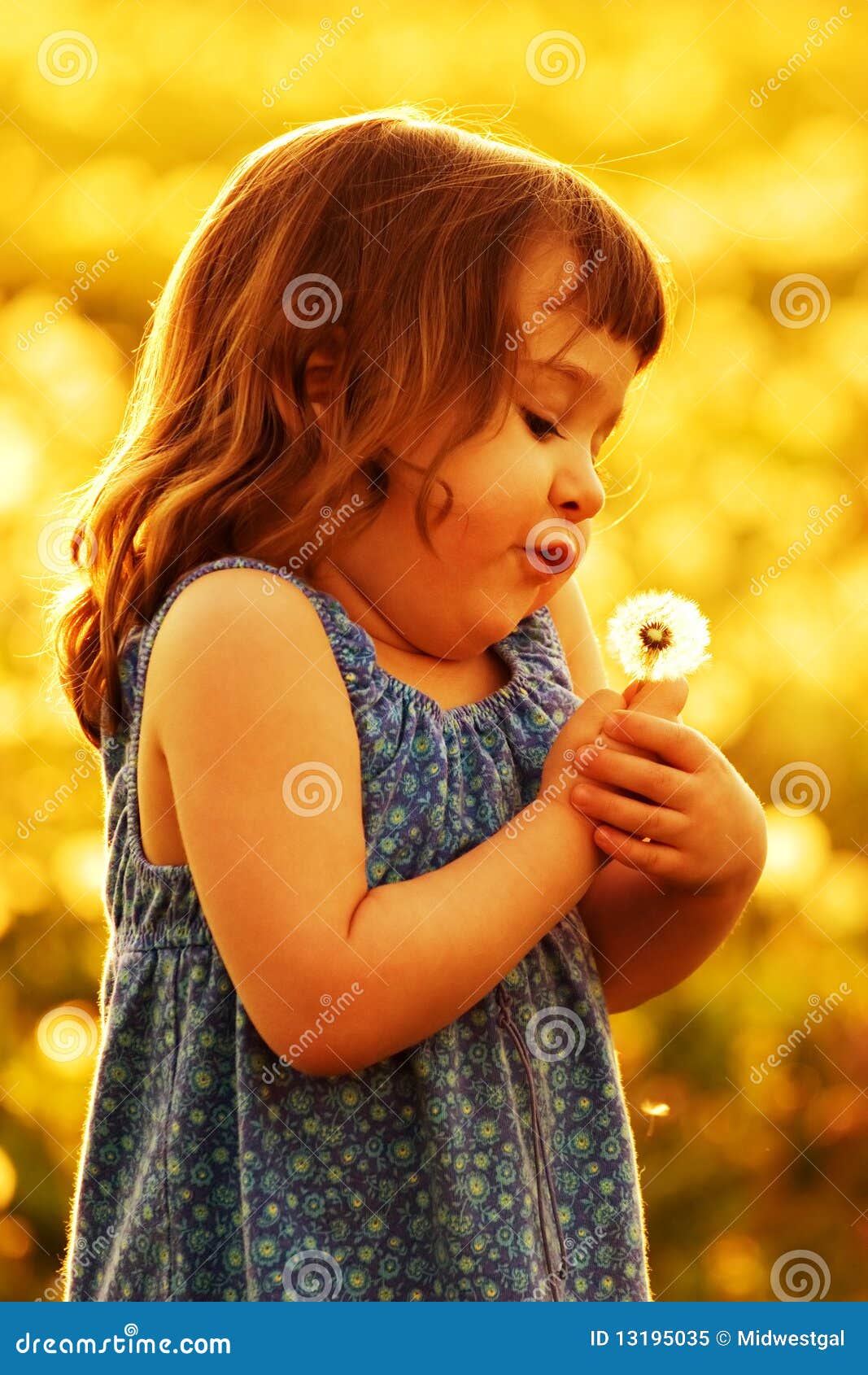 Child Blowing Dandelion at Sunset Stock Image - Image of days, green ...