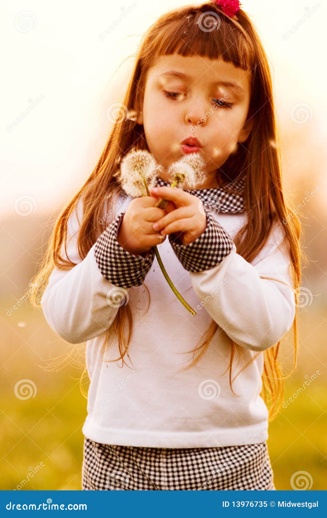 Child Blowing Dandelions stock image. Image of life, girl - 13976735