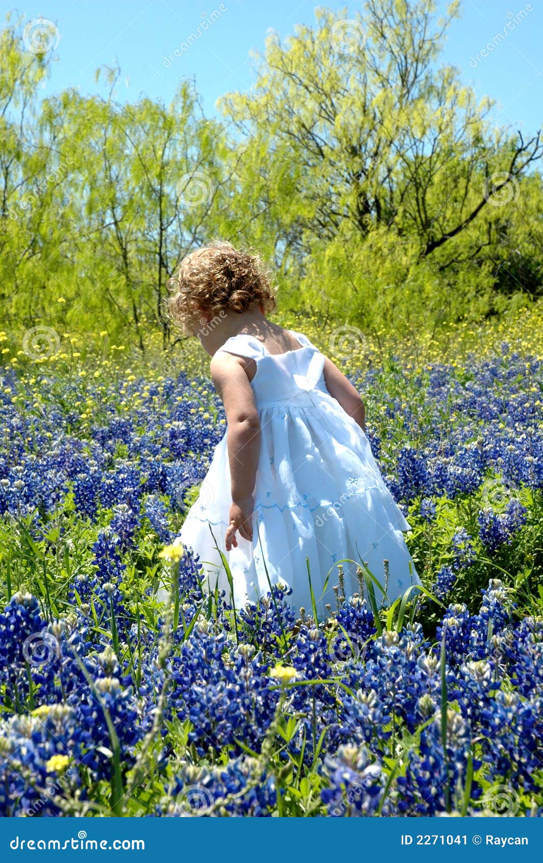 Child in Blue Bonnets stock image. Image of female, grass - 2271041 Child in Blue Bonnets stock image. Image of female, grass - 2271041